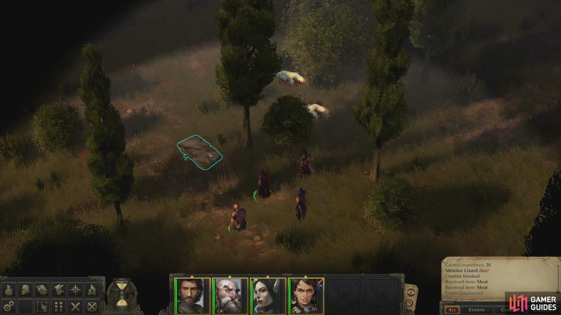 Fangberry for Bokken - Fangberry Cave - Errands - Side Quests ...