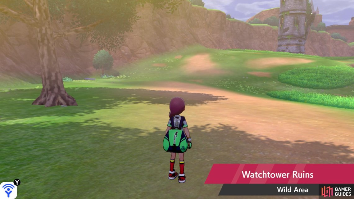 Overview - Watchtower Ruins - Wild Area | Pokémon: Sword & Shield ...
