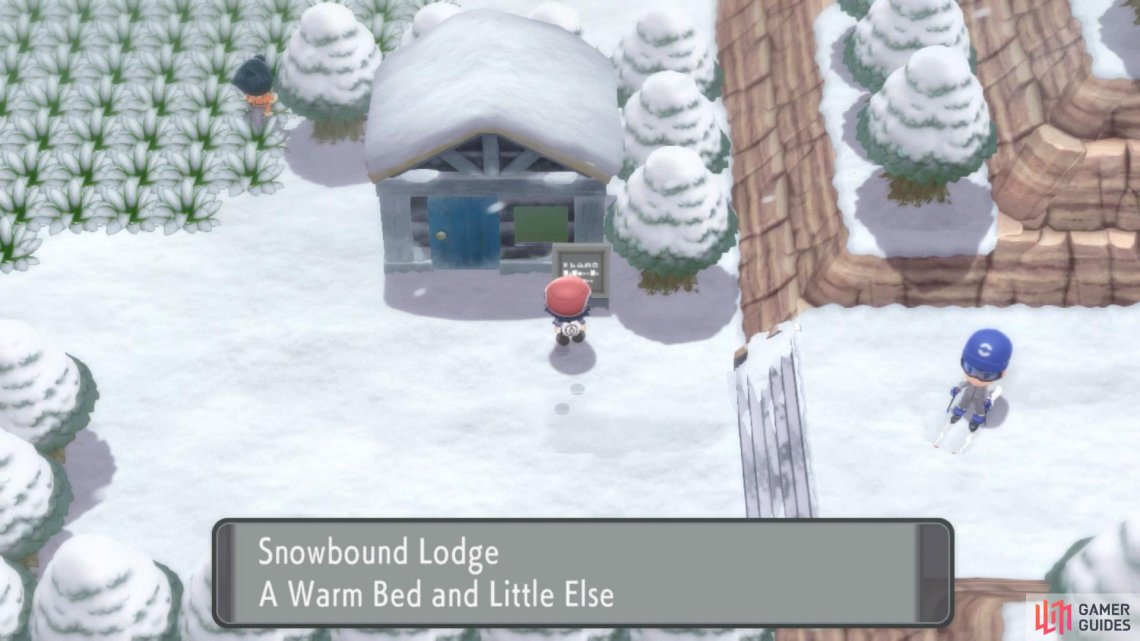 Route 216 (Encounters & Items) - Icicle Badge - Walkthrough | Pokémon ...