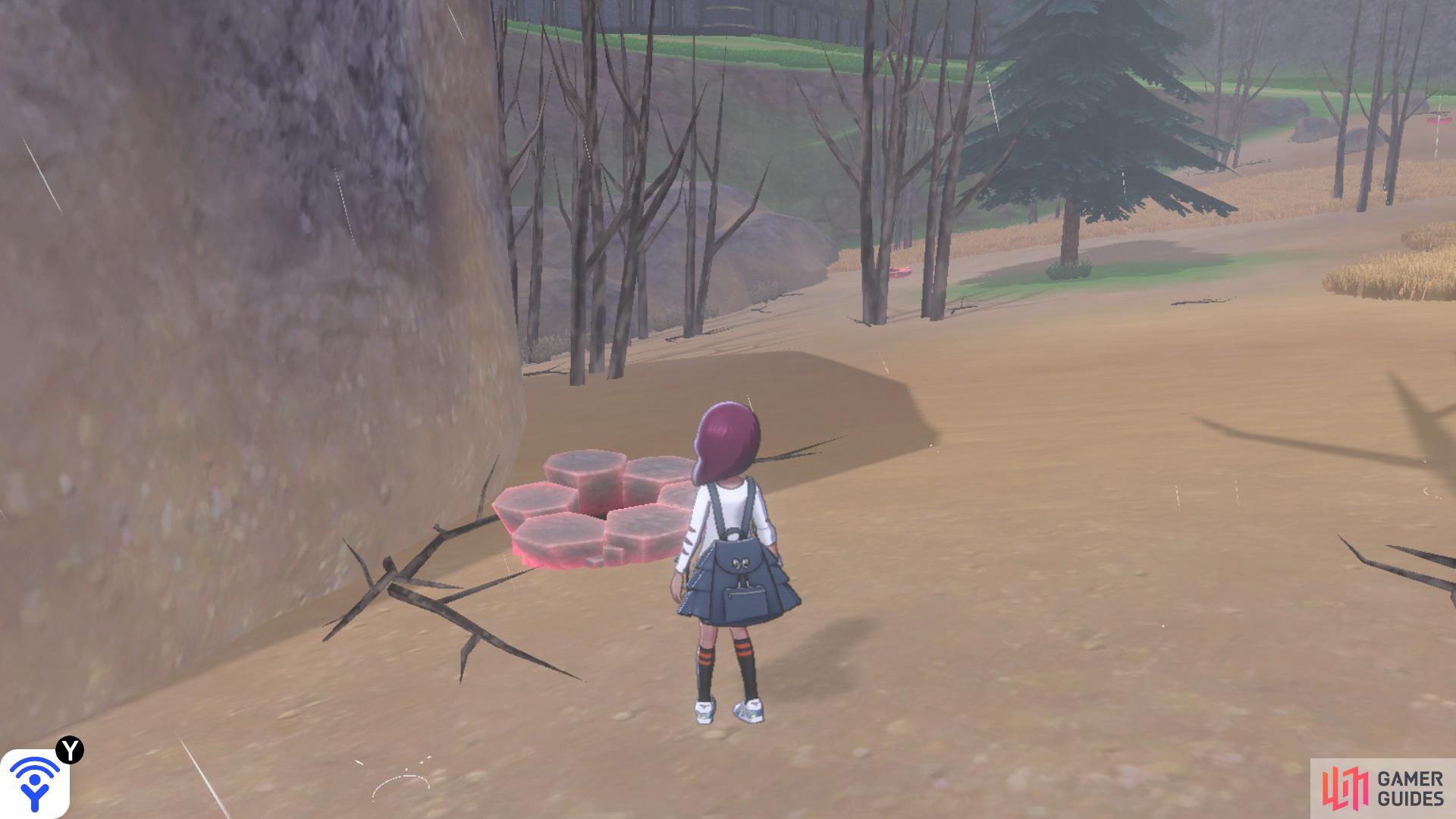 Max Raids - Dusty Bowl - Wild Area | Pokémon: Sword & Shield | Gamer Guides
