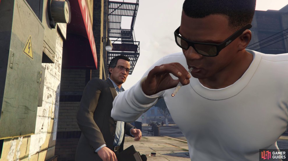 Grass Roots - Franklin - Barry - Strangers And Freaks | Grand Theft ...
