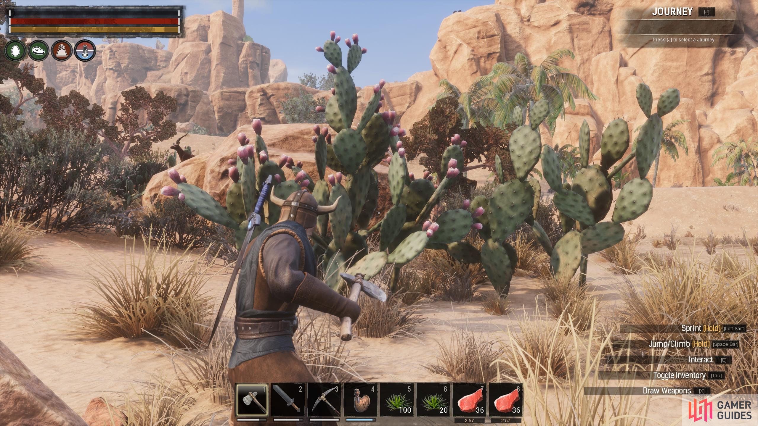 Cochineal - Conan Exiles Database | Gamer Guides® Cochineal - Conan Exiles Database | Gamer Guides®