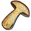 Cooked boletus - Kingdom Come: Deliverance II Database | Gamer Guides®