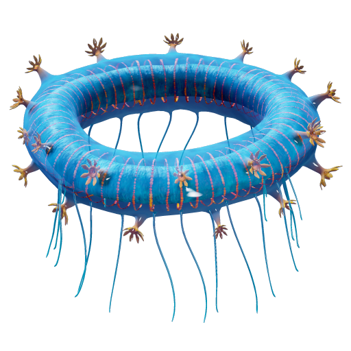 Jelly Ring - Subnautica 2 Database | Gamer Guides®