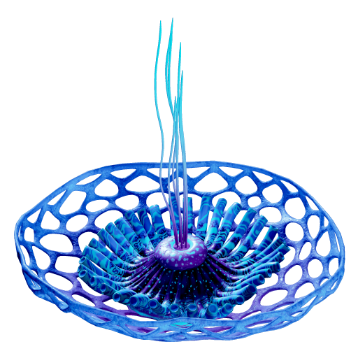 Tripe-bowl Raion - Subnautica 2 Database | Gamer Guides®
