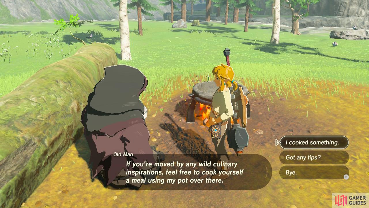 The Isolated Plateau - Walkthrough - Story Quests | The Legend of Zelda ...