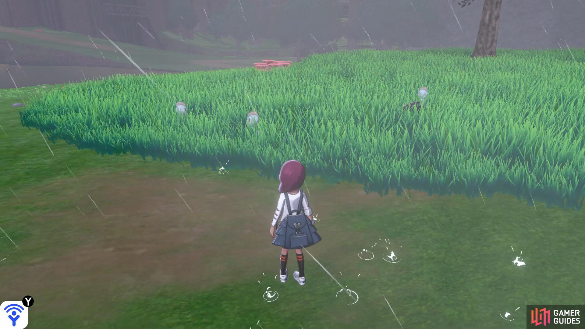 Overworld Encounter Data - South Lake Miloch - Wild Area | Pokémon ...