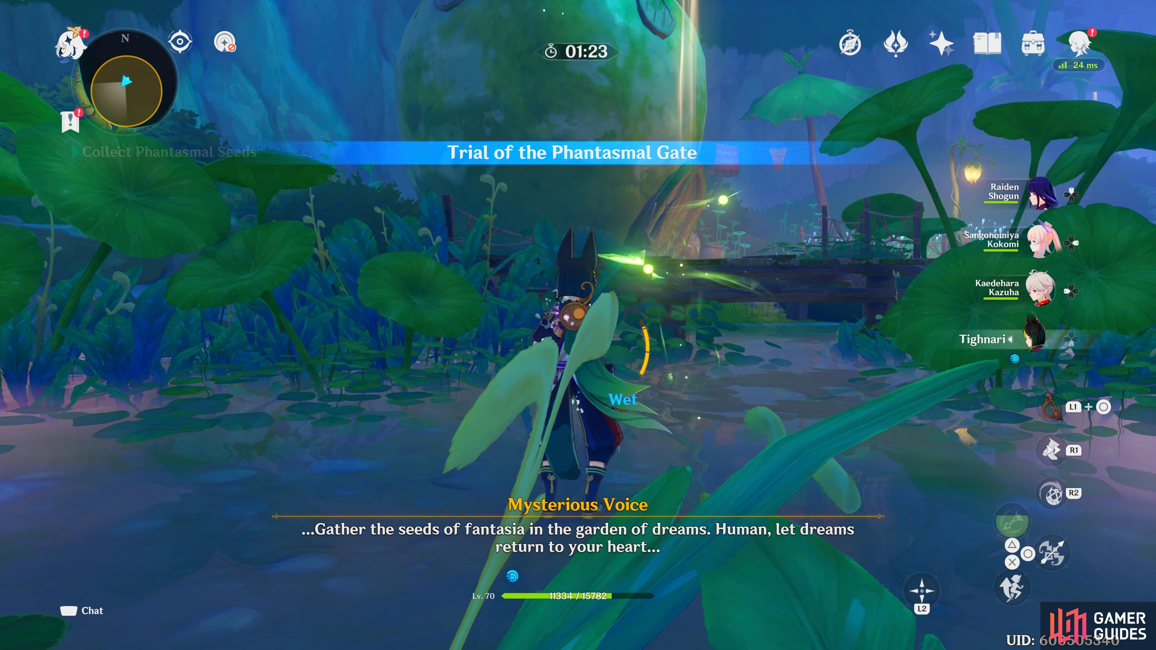 Aranyaka: Part II - Dream Nursery: The World of Aranara - Sumeru ...