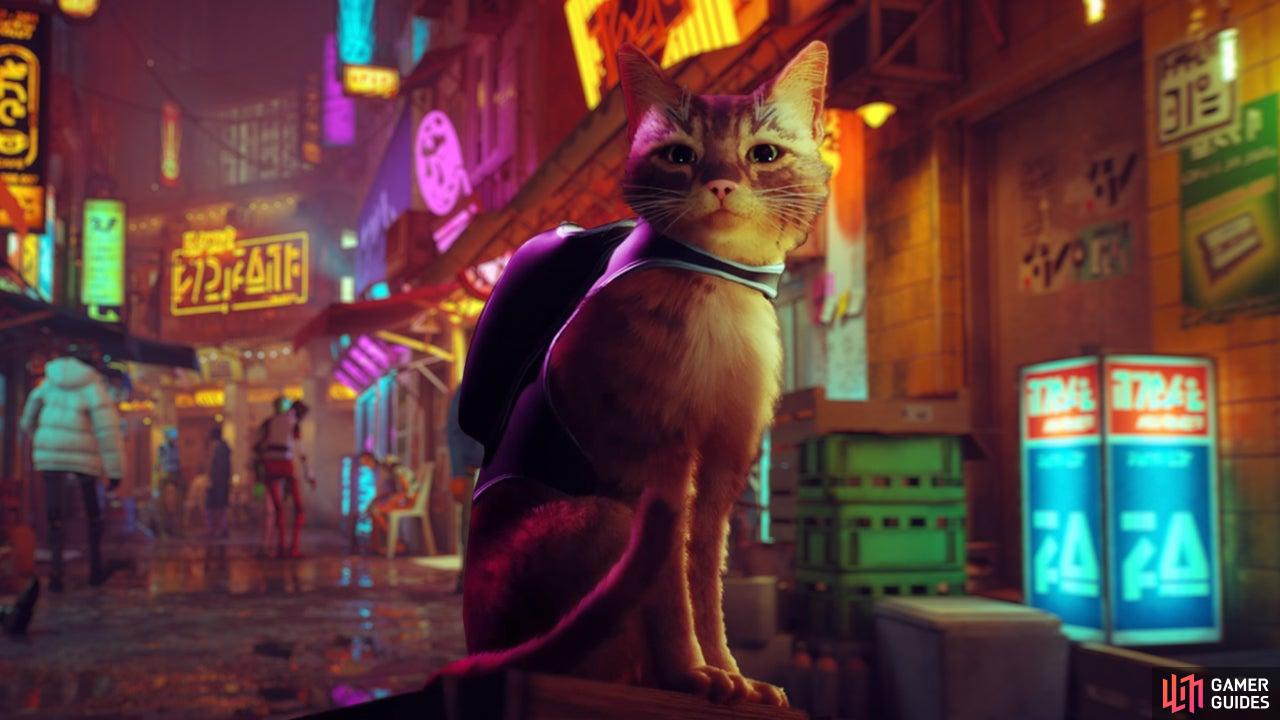 Stray System Requirements - Information - Gameplay | Stray | Gamer Guides® Stray System Requirements - Information - Gameplay | Stray | Gamer Guides®