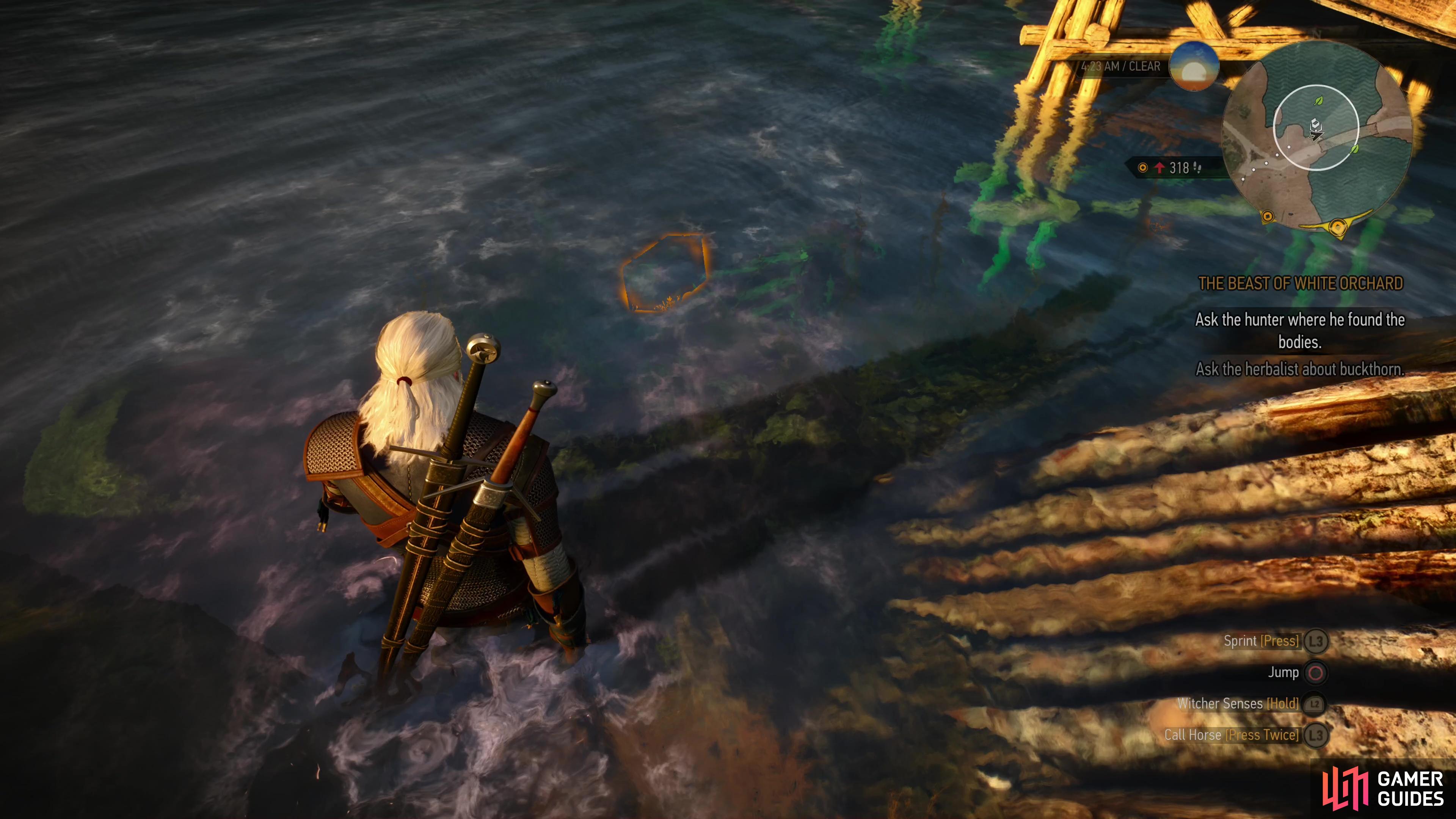 Hidden Treasure - Activities - White Orchard | The Witcher 3: Wild Hunt ...