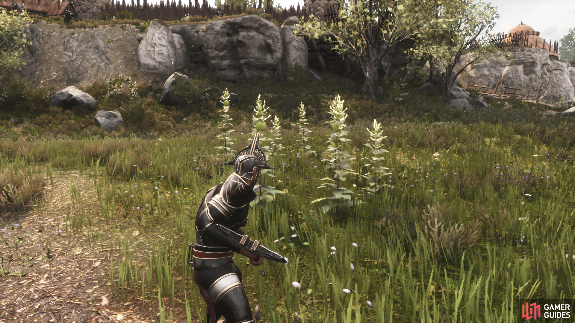 Leavening Agent - Conan Exiles Database | Gamer Guides®