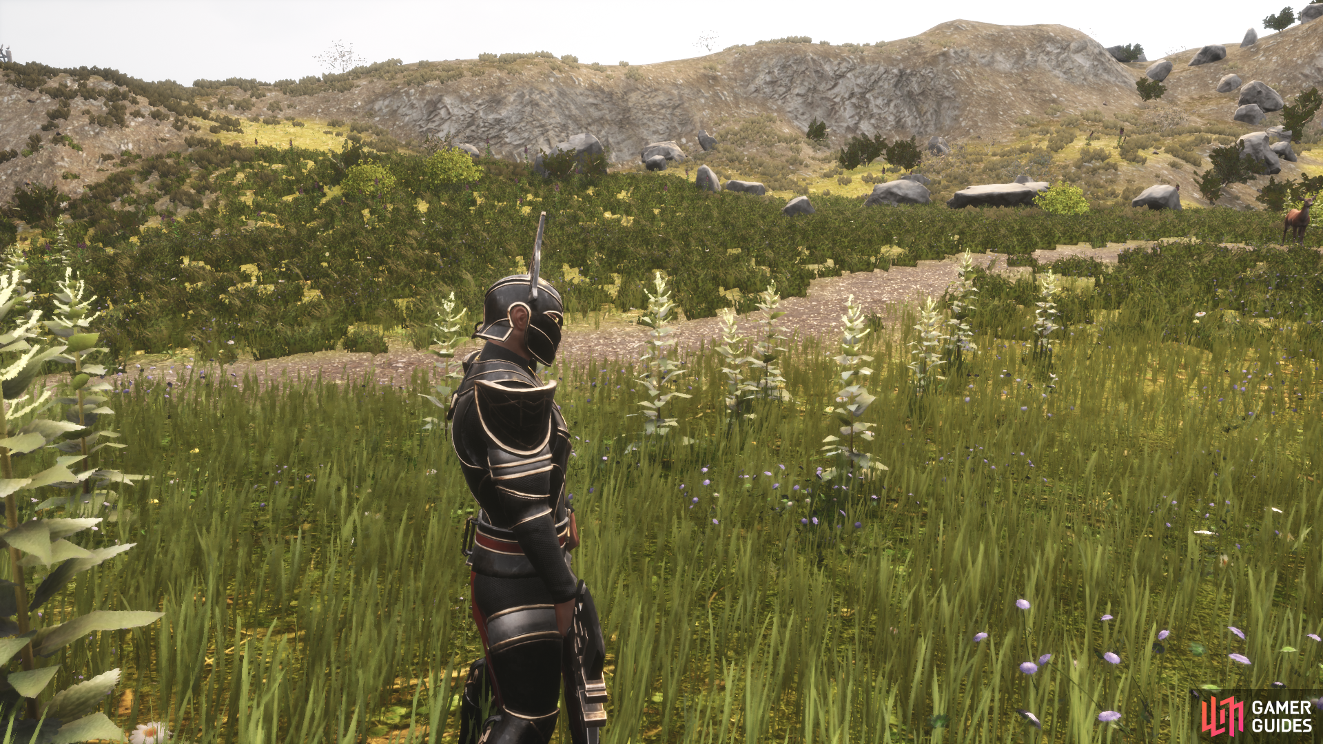 Leavening Agent - Conan Exiles Database | Gamer Guides®