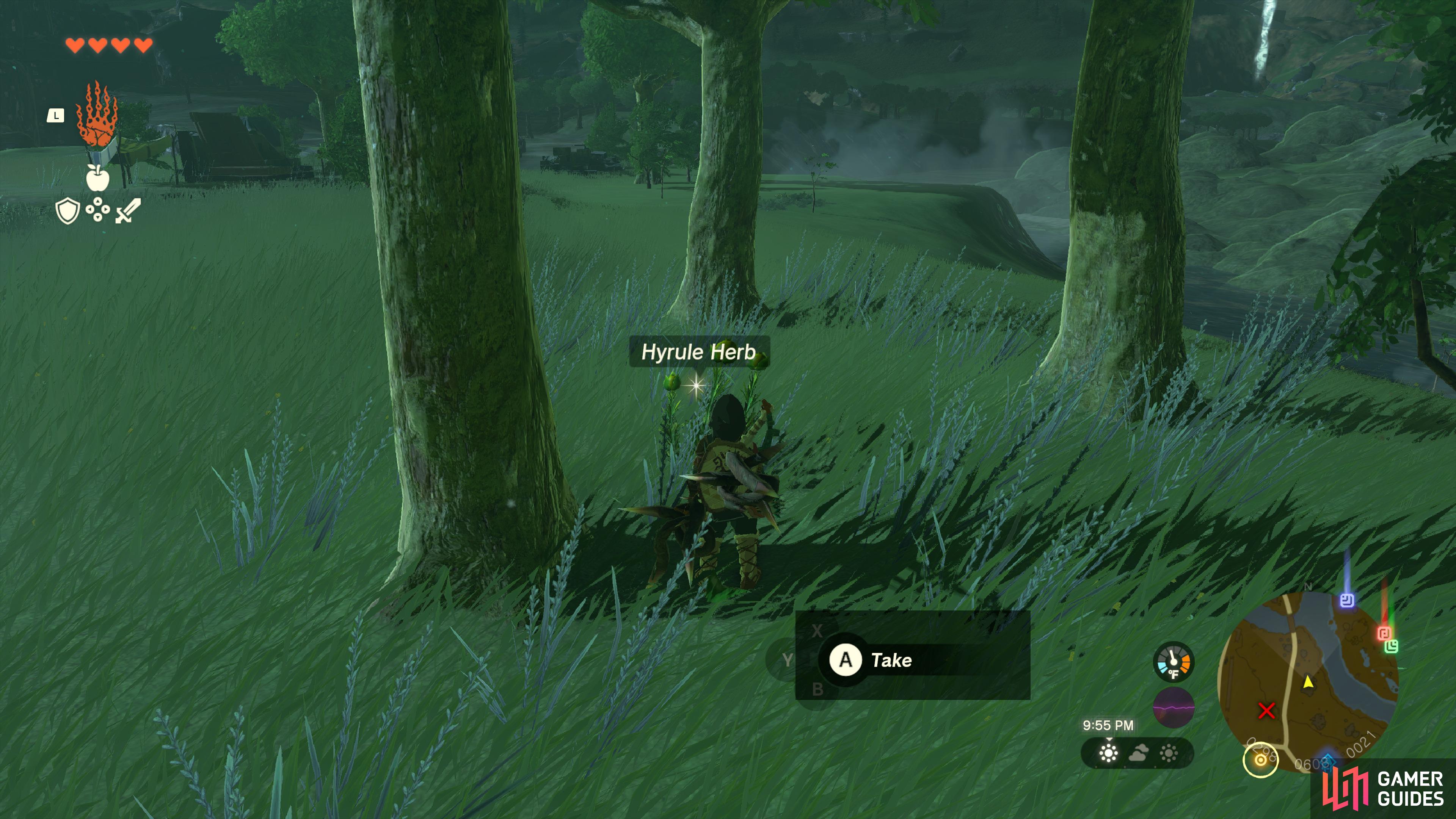 Hyrule Herb - The Legend of Zelda: Tears of the Kingdom Database ...