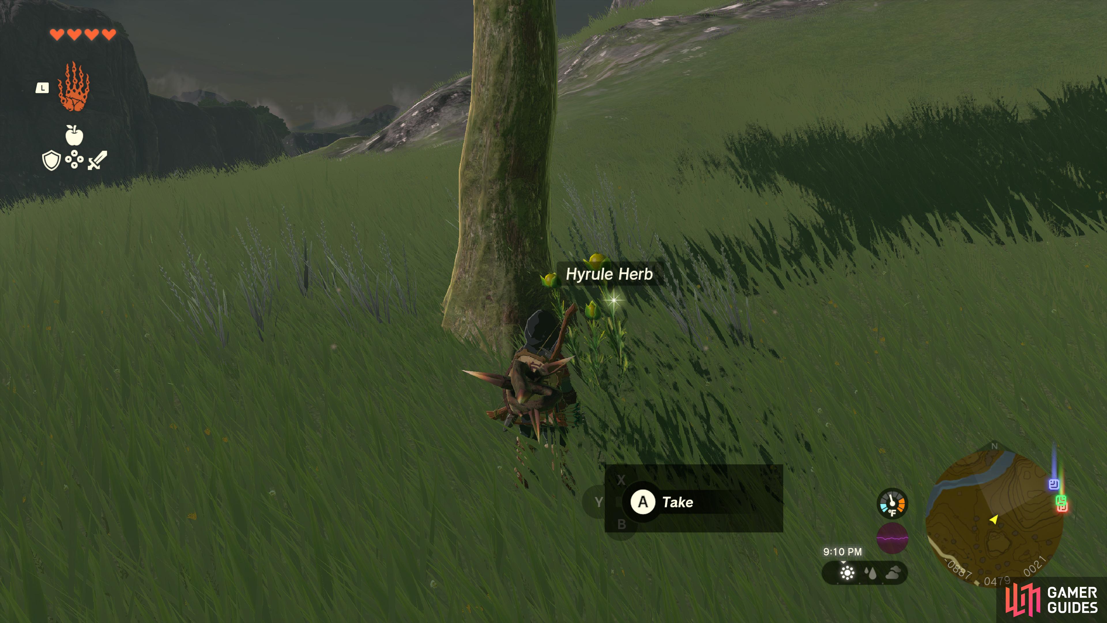 Hyrule Herb - The Legend of Zelda: Tears of the Kingdom Database ...