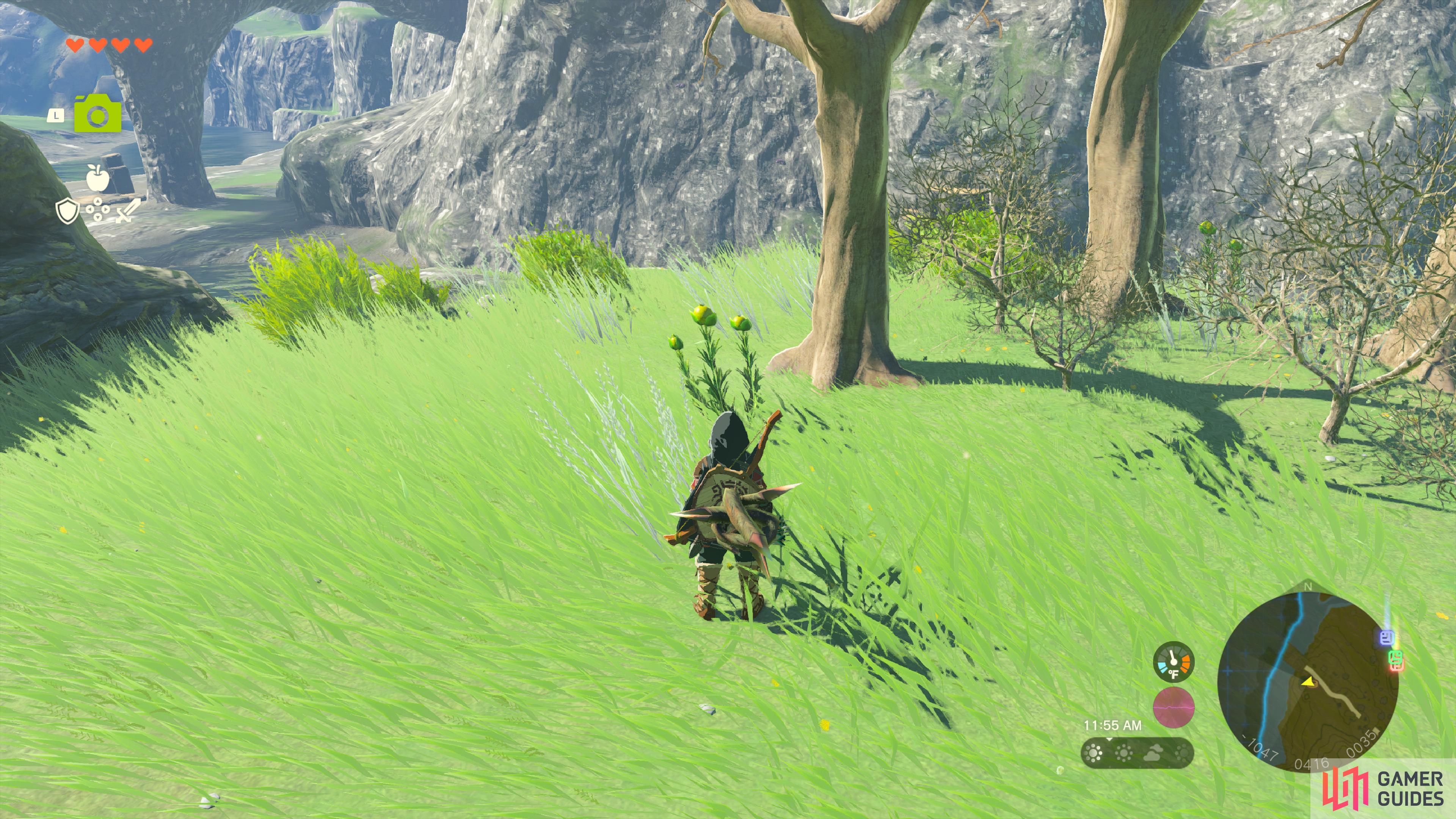 Hyrule Herb - The Legend of Zelda: Tears of the Kingdom Database ...