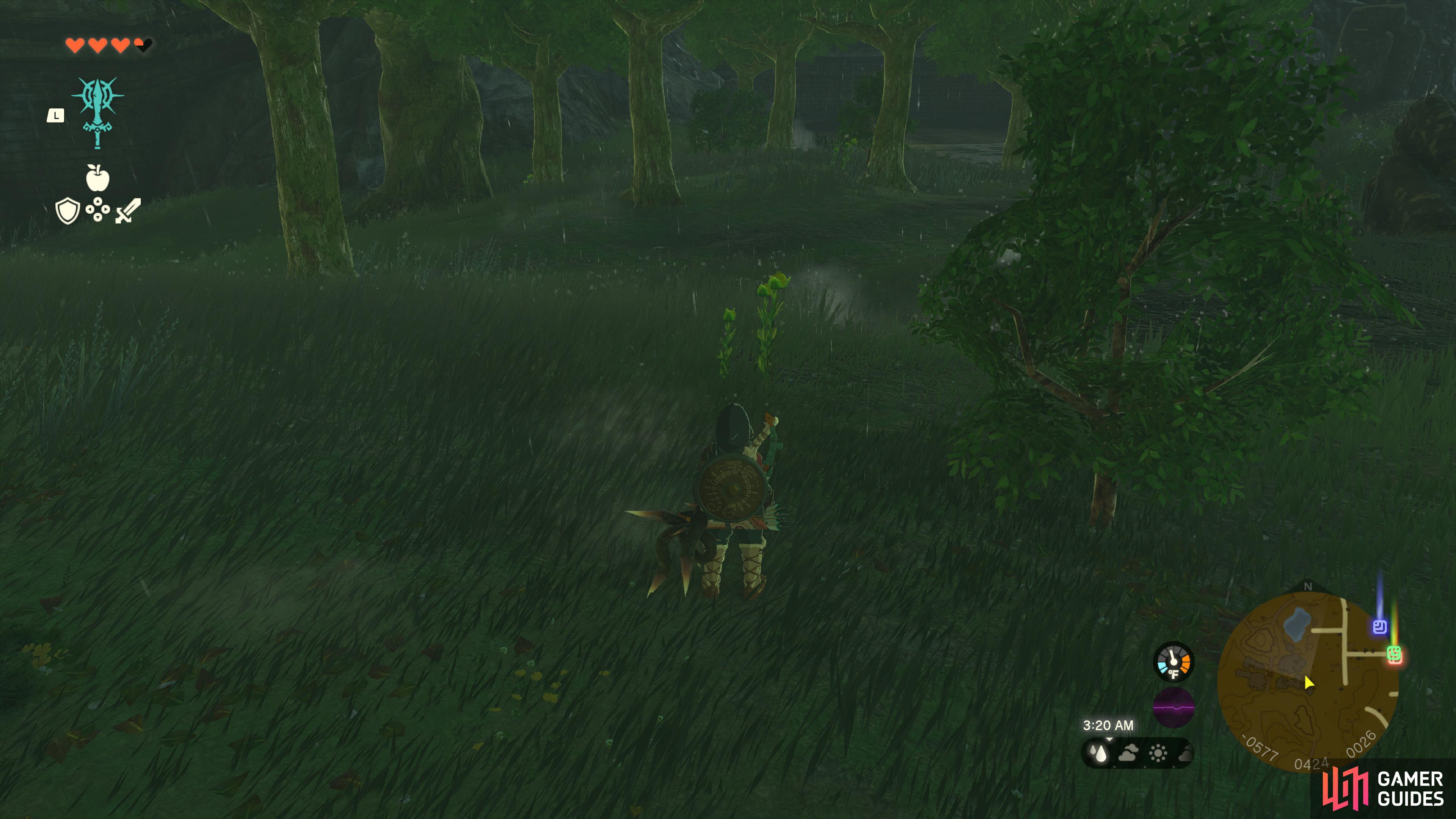 Hyrule Herb - The Legend of Zelda: Tears of the Kingdom Database ...