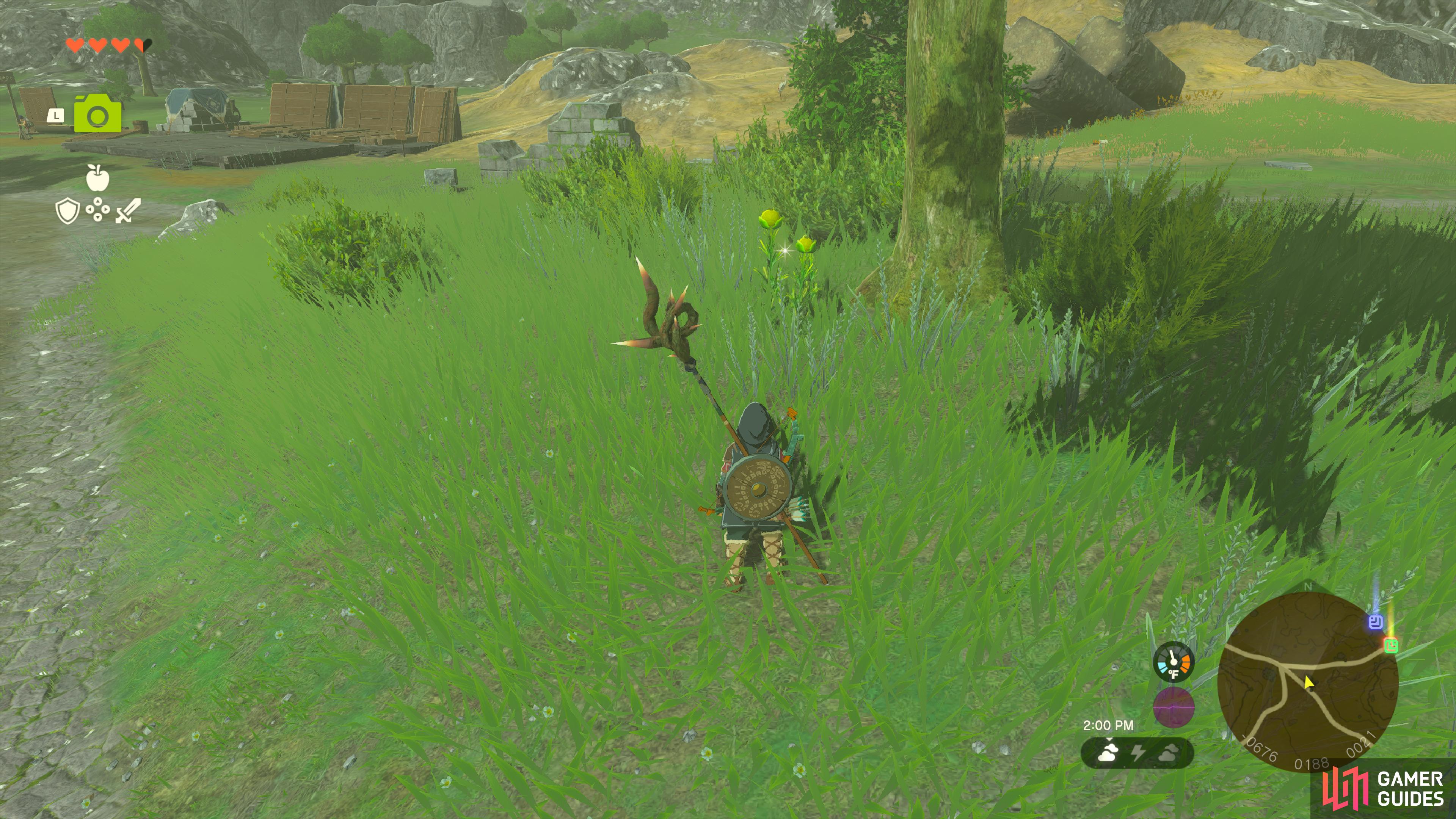 Hyrule Herb - The Legend of Zelda: Tears of the Kingdom Database ...