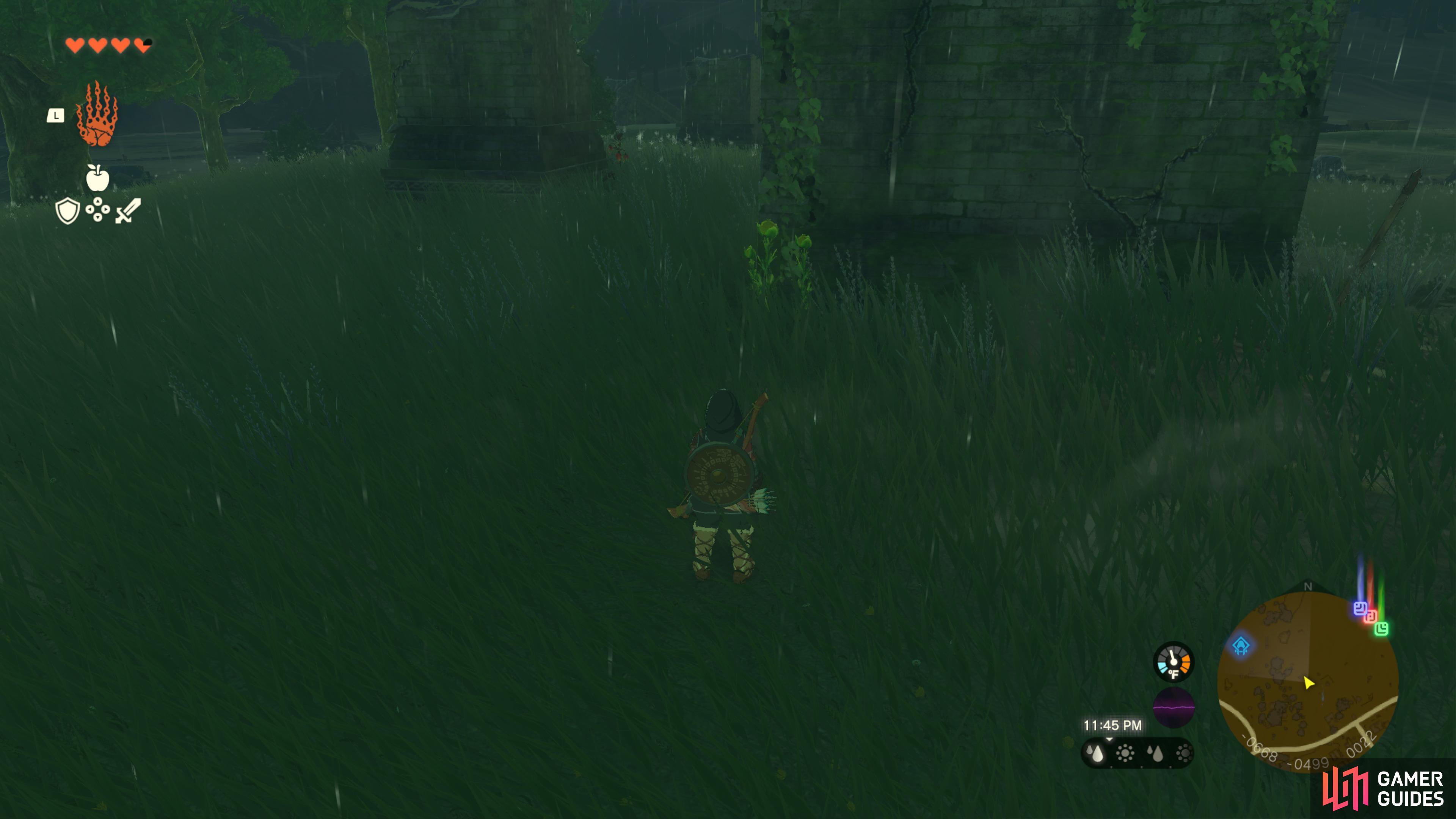 Hyrule Herb - The Legend of Zelda: Tears of the Kingdom Database ...