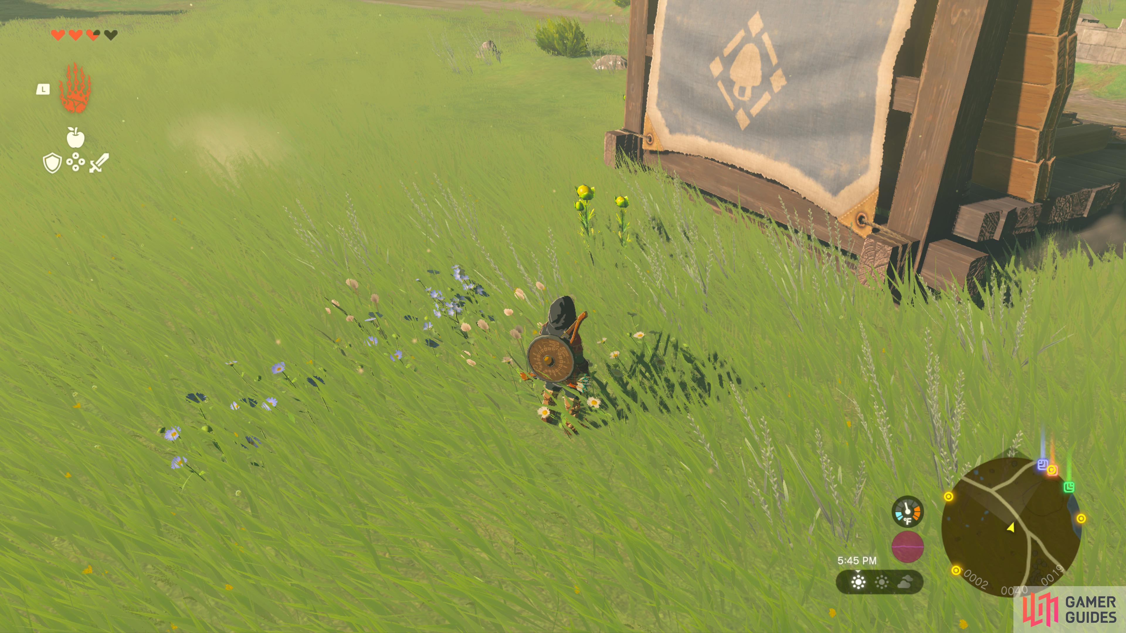 Hyrule Herb - The Legend of Zelda: Tears of the Kingdom Database ...