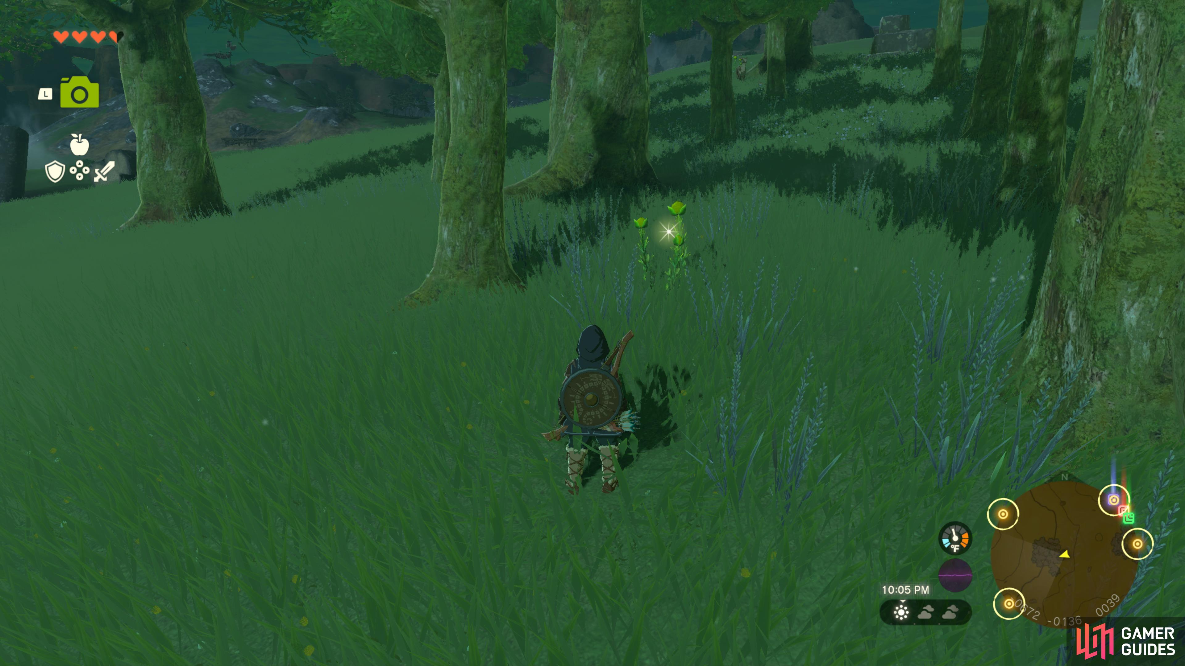 Hyrule Herb - The Legend of Zelda: Tears of the Kingdom Database ...