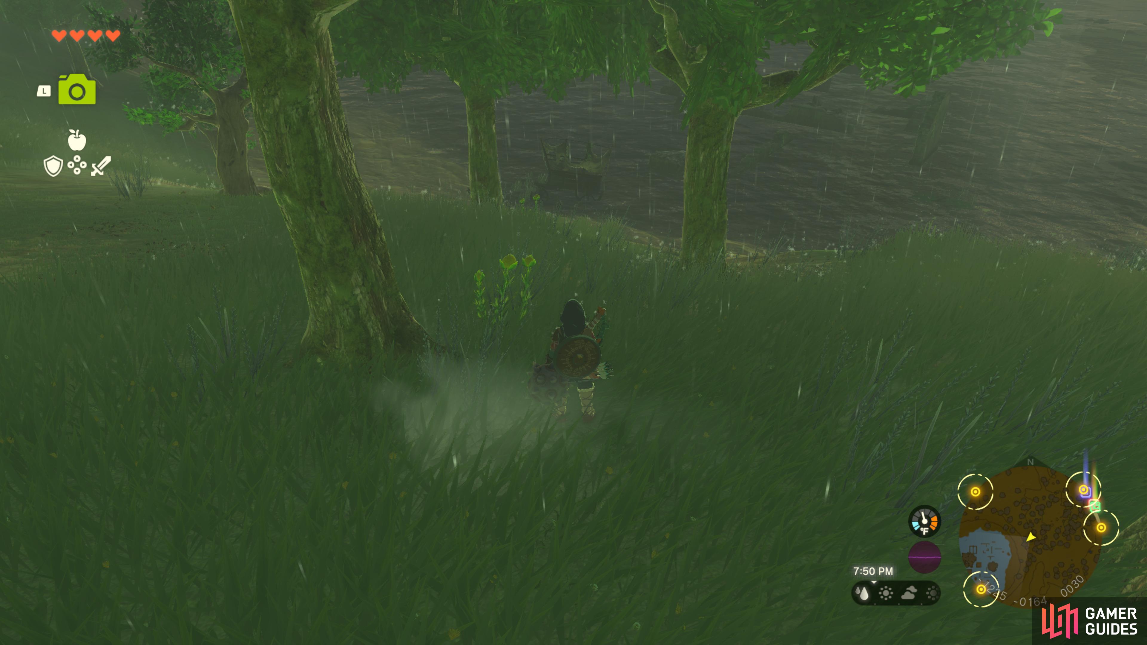 Hyrule Herb - The Legend of Zelda: Tears of the Kingdom Database ...