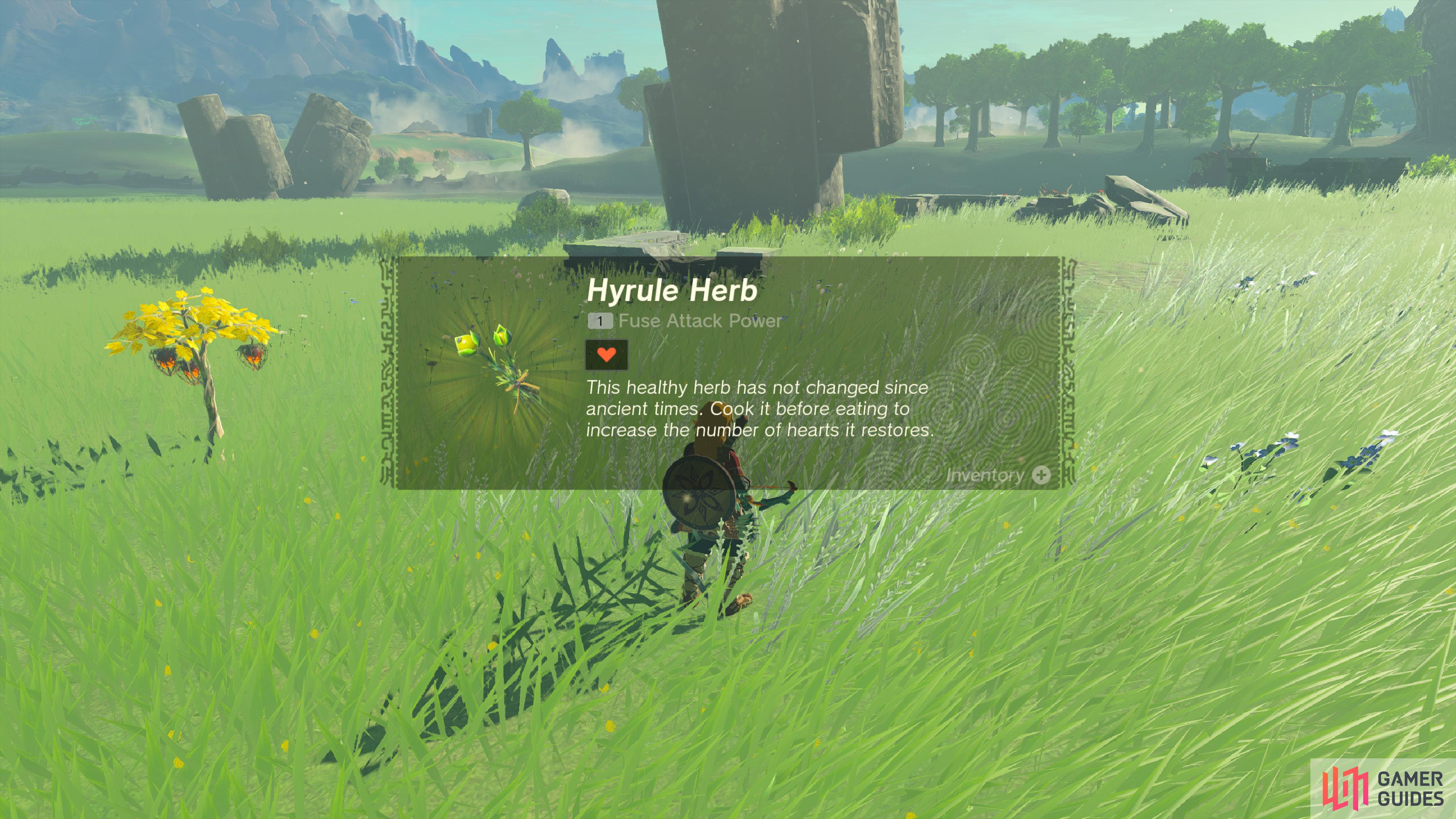 Hyrule Herb - The Legend of Zelda: Tears of the Kingdom Database ...