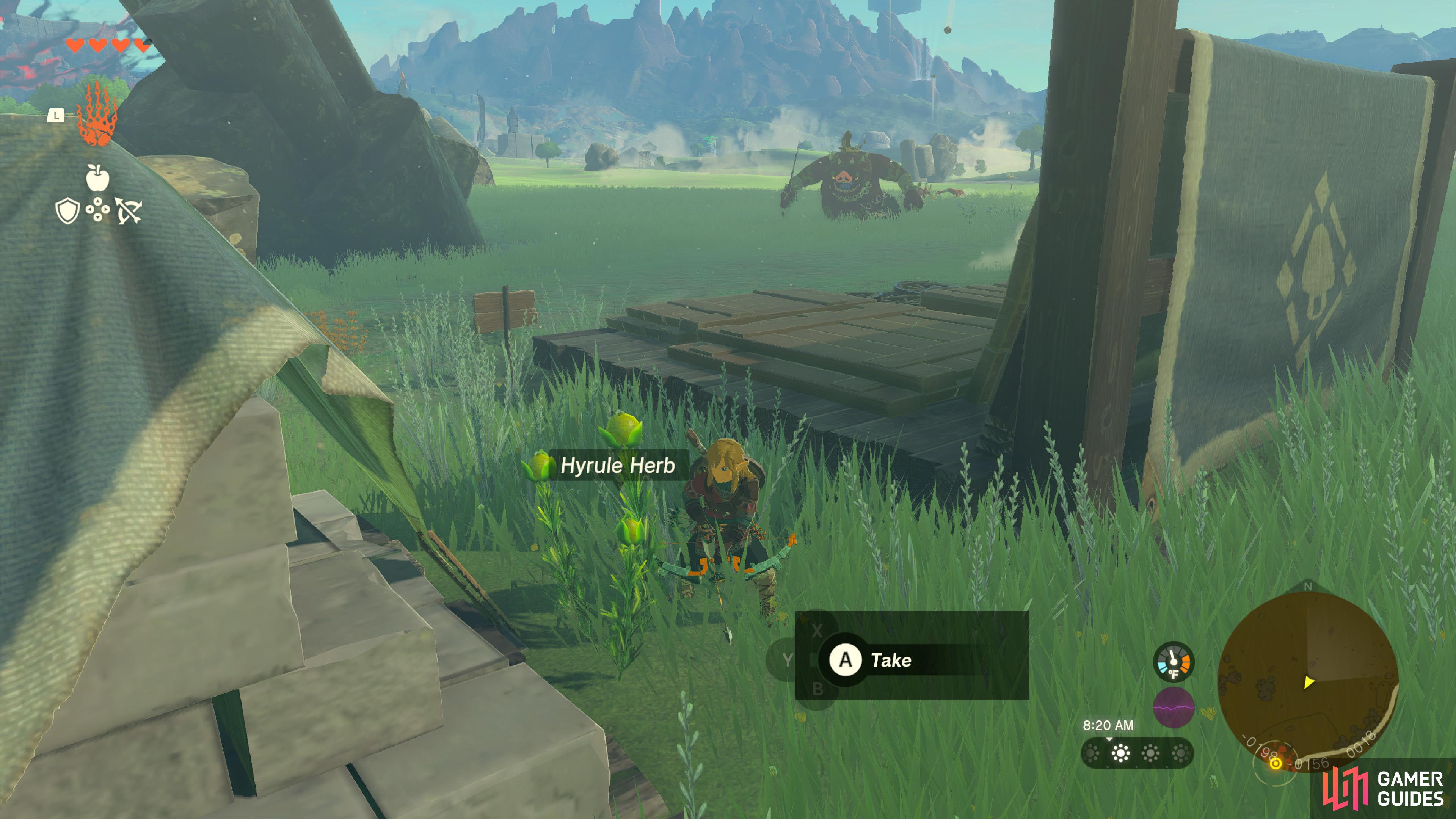 Hyrule Herb - The Legend of Zelda: Tears of the Kingdom Database ...