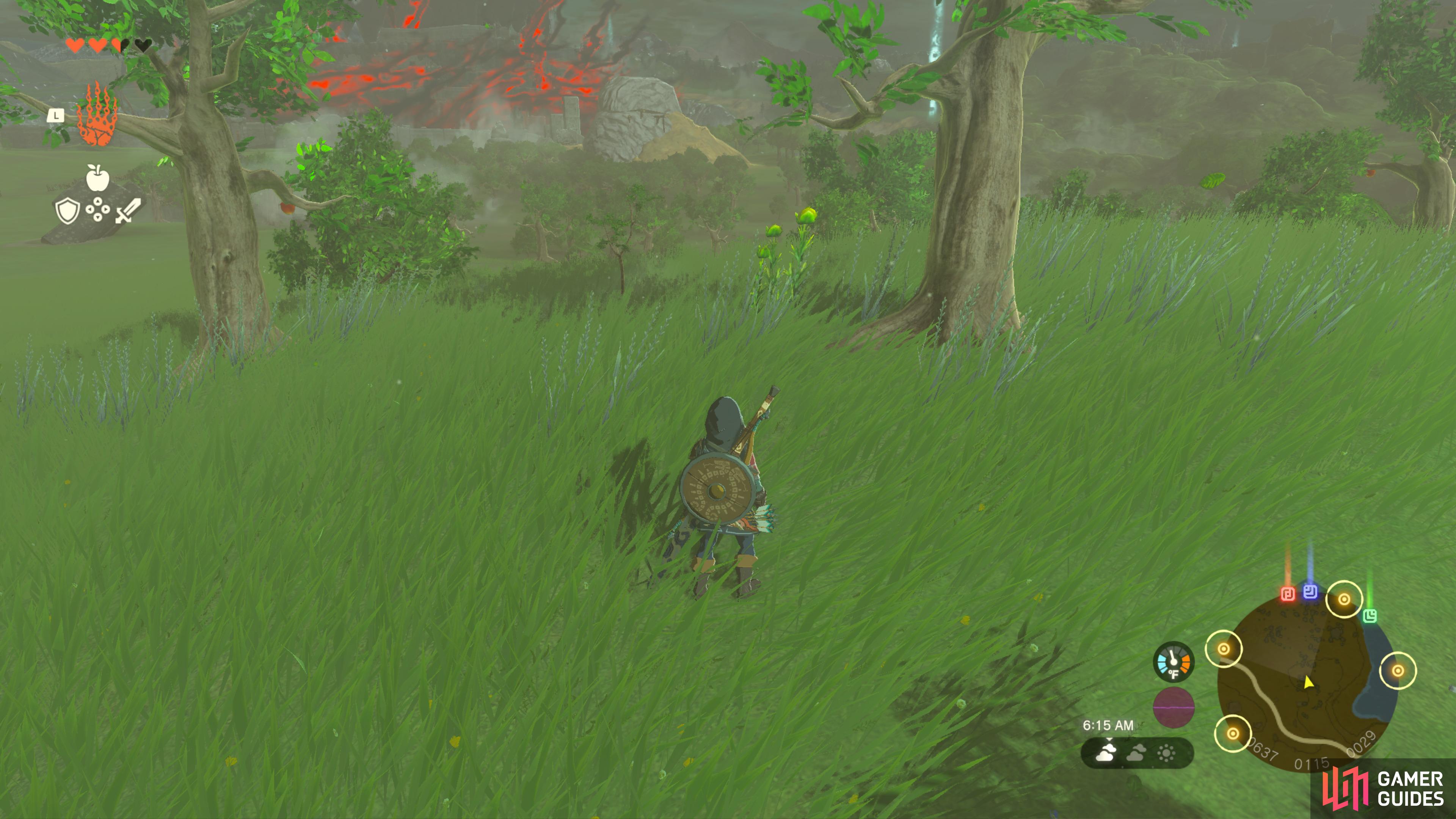Hyrule Herb - The Legend of Zelda: Tears of the Kingdom Database ...