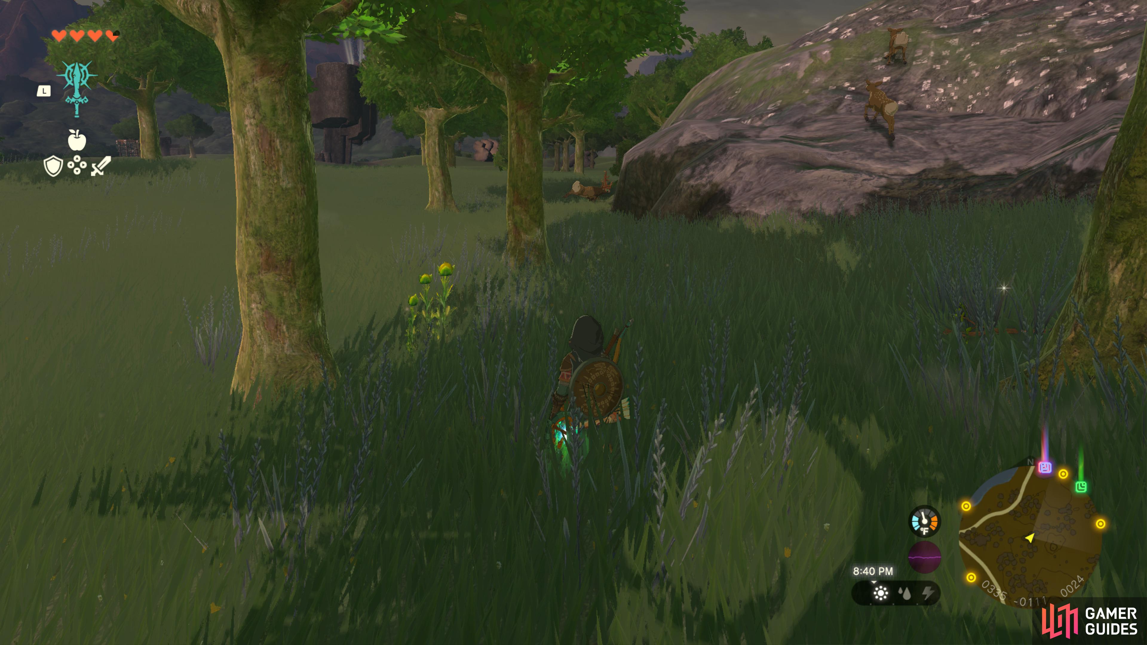 Hyrule Herb - The Legend of Zelda: Tears of the Kingdom Database ...