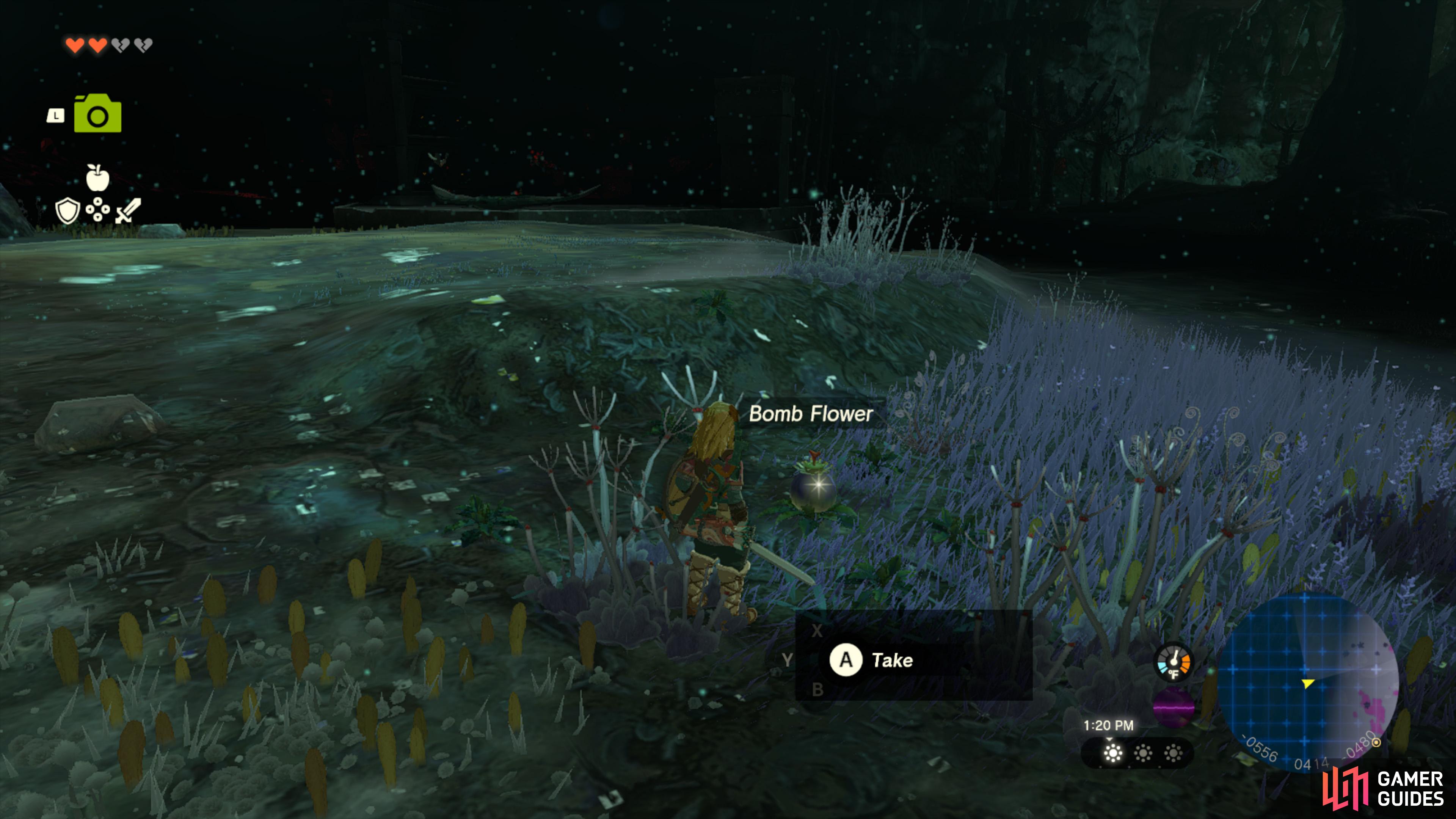 Bomb Flower - The Legend of Zelda: Tears of the Kingdom Database ...