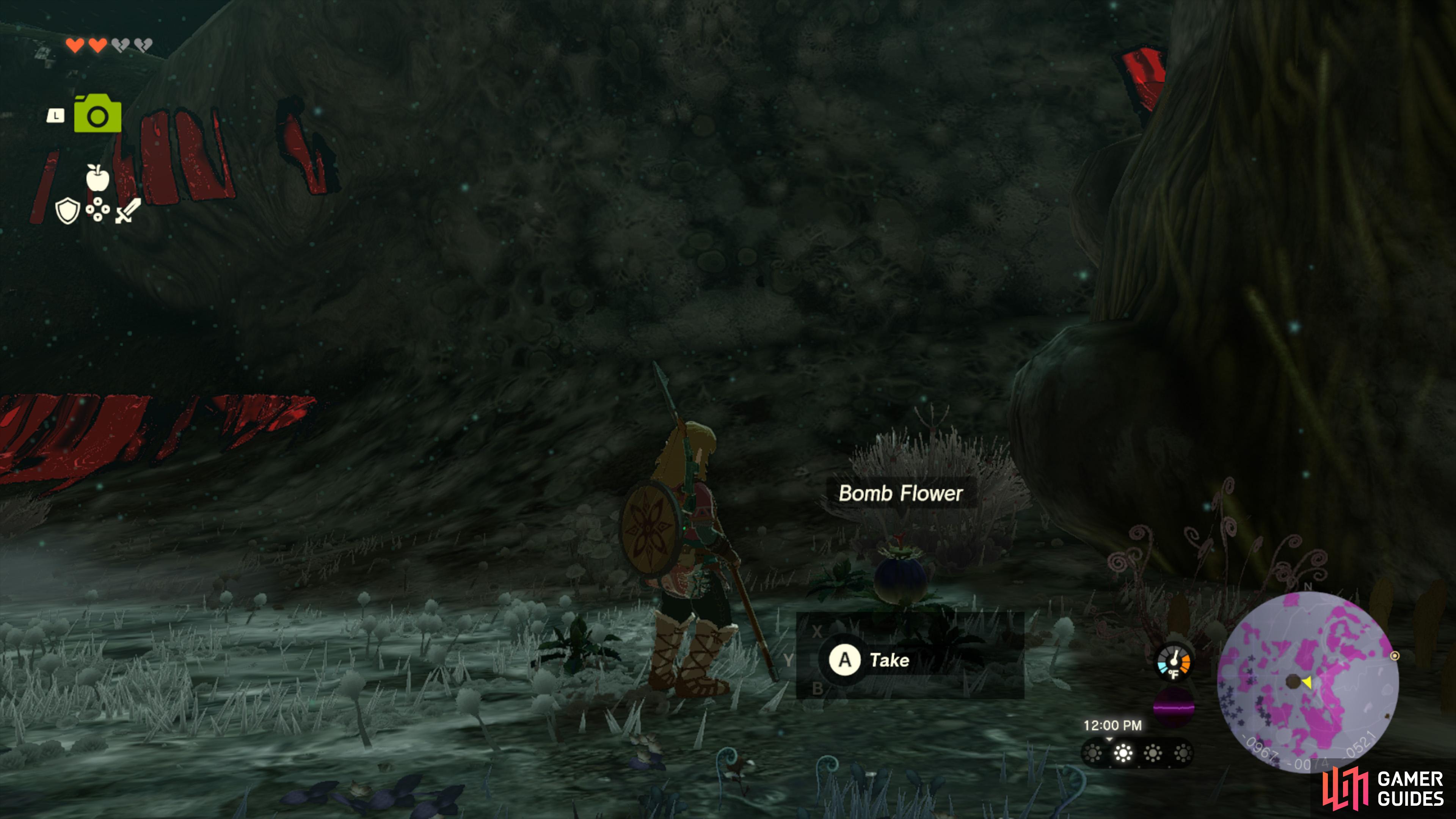 Bomb Flower - The Legend of Zelda: Tears of the Kingdom Database ...