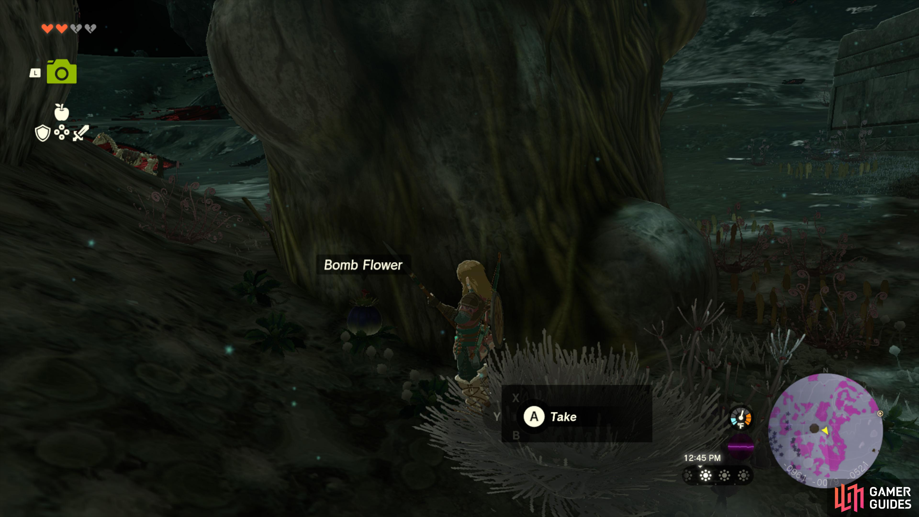 Bomb Flower - The Legend of Zelda: Tears of the Kingdom Database ...