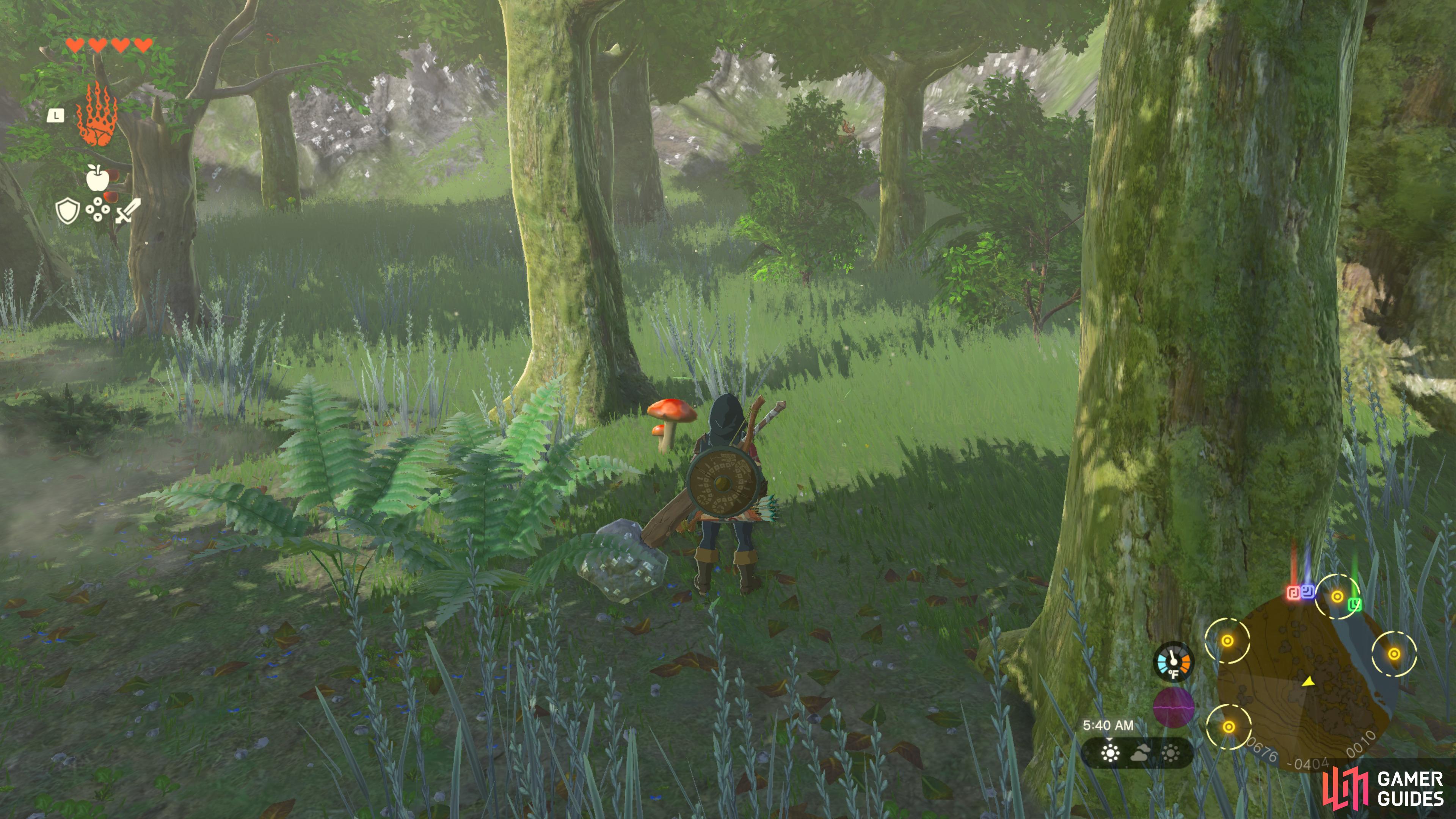 Hylian Shroom - The Legend of Zelda: Tears of the Kingdom Database ...