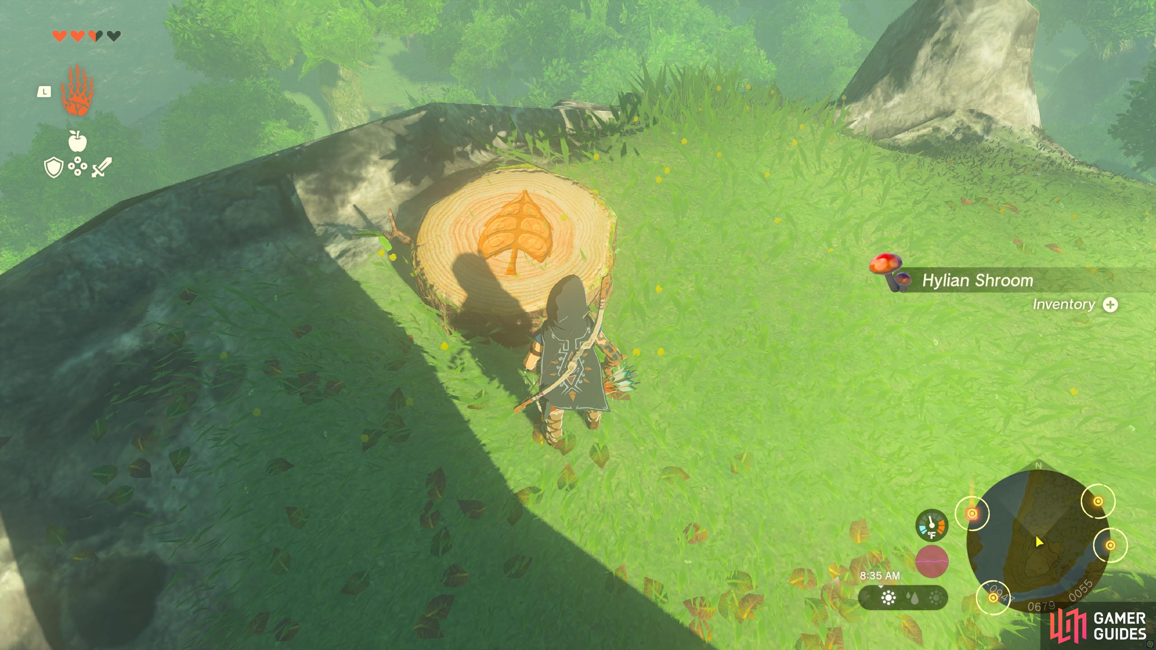 Hylian Shroom - The Legend of Zelda: Tears of the Kingdom Database ...