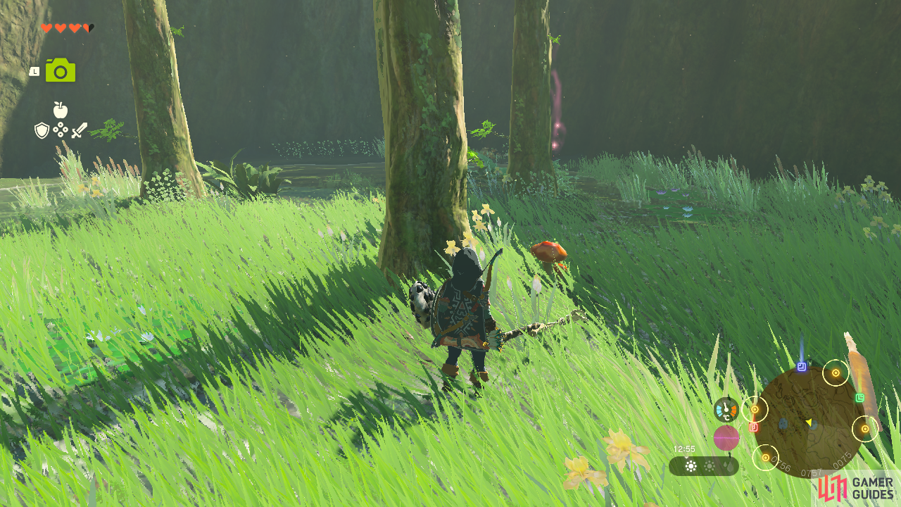 Hylian Shroom - The Legend of Zelda: Tears of the Kingdom Database ...