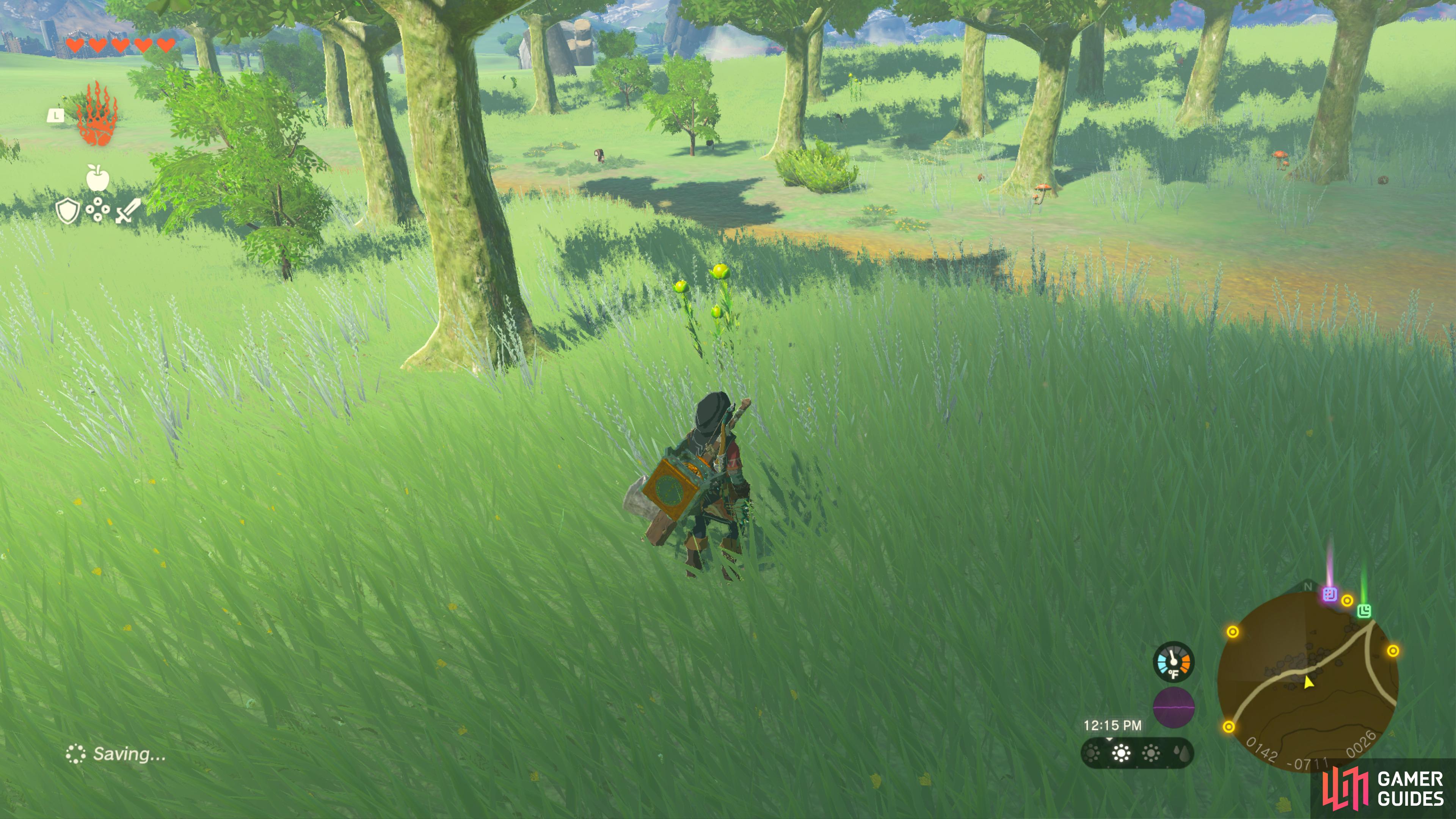 Hyrule Herb - The Legend of Zelda: Tears of the Kingdom Database ...