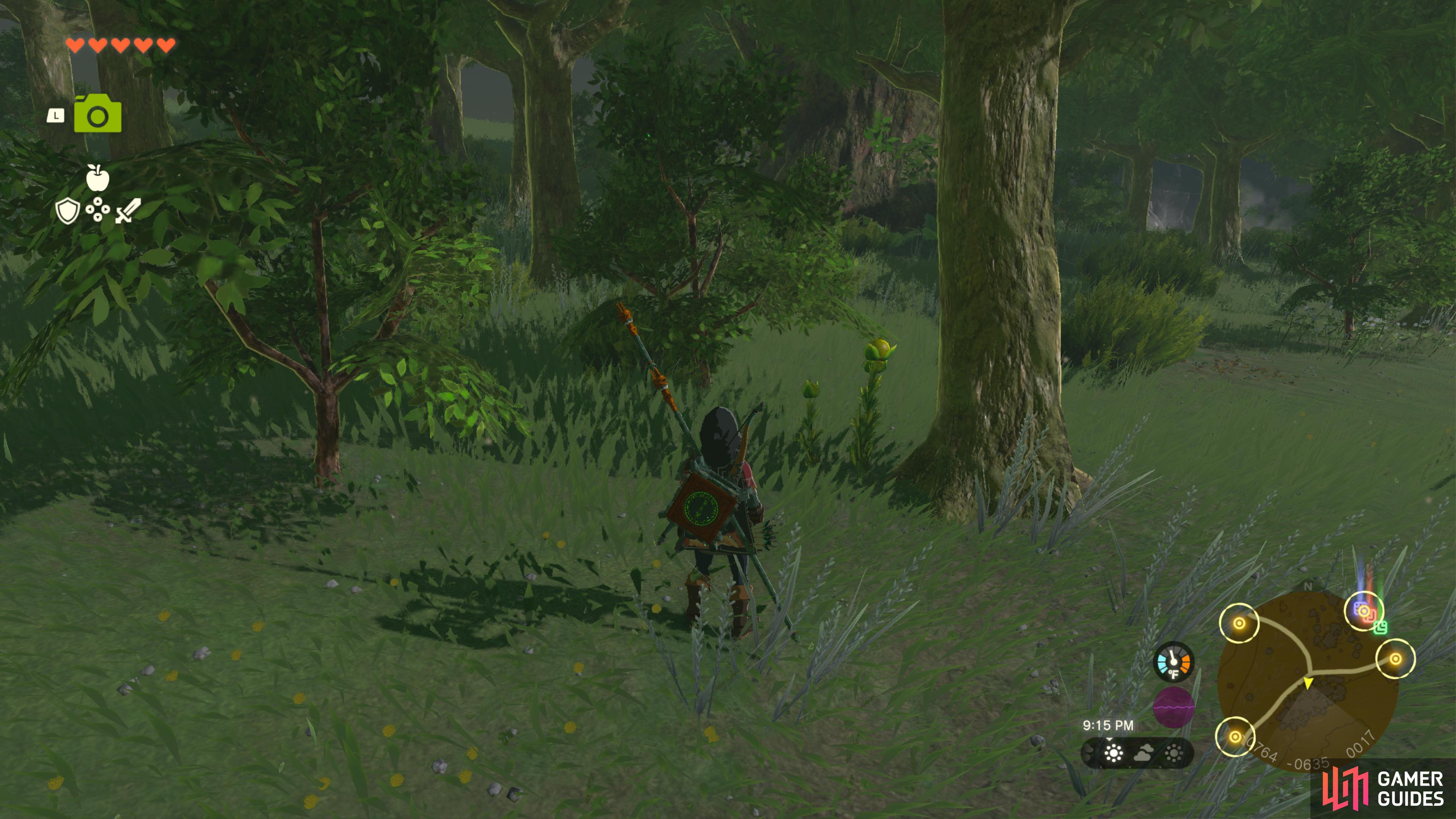 Hyrule Herb - The Legend of Zelda: Tears of the Kingdom Database ...