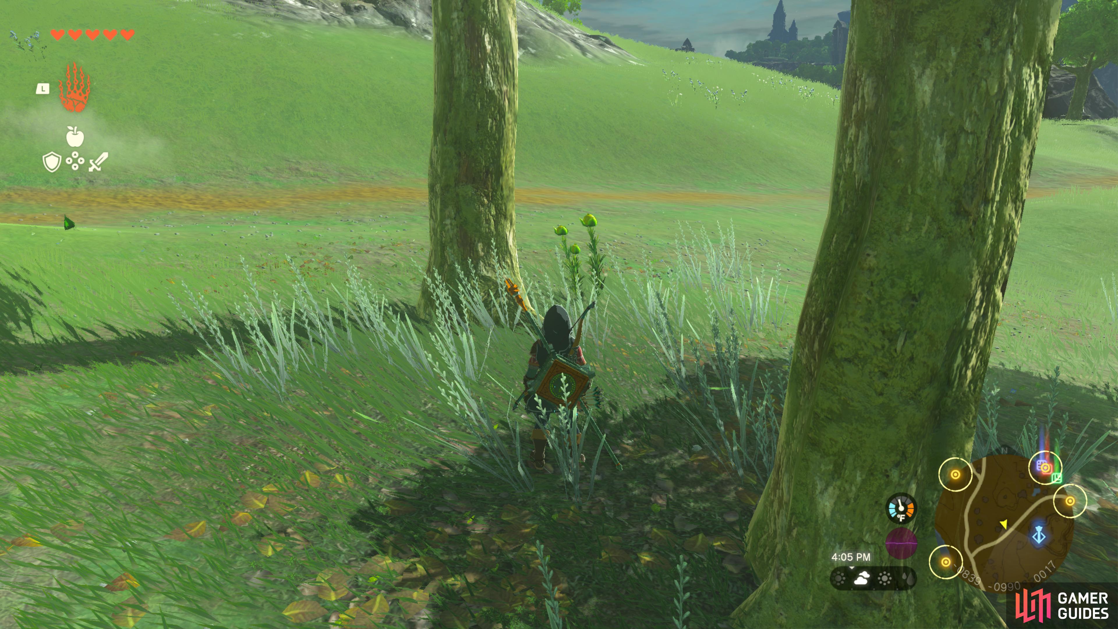 Hyrule Herb - The Legend of Zelda: Tears of the Kingdom Database ...