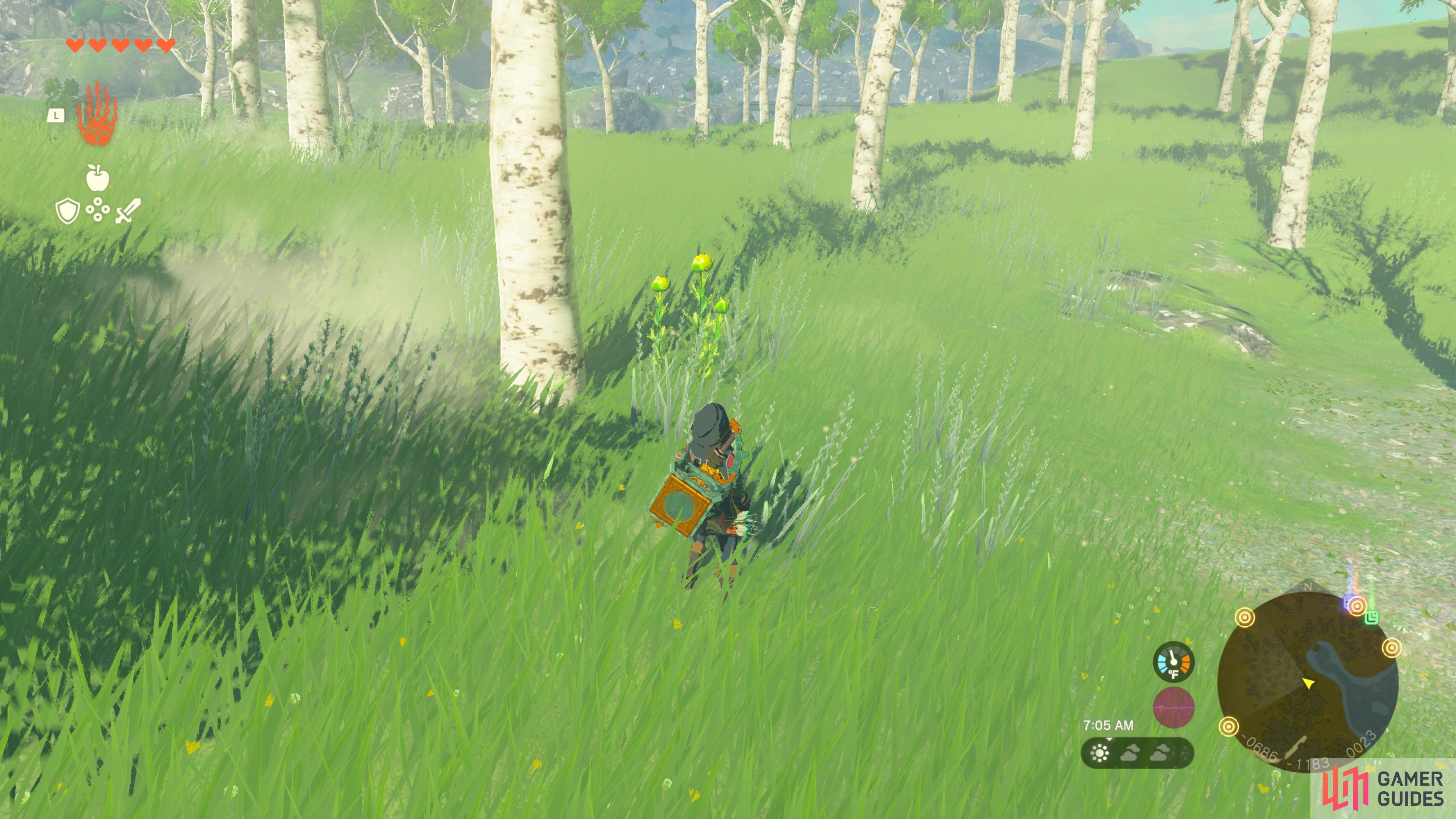 Hyrule Herb - The Legend of Zelda: Tears of the Kingdom Database ...