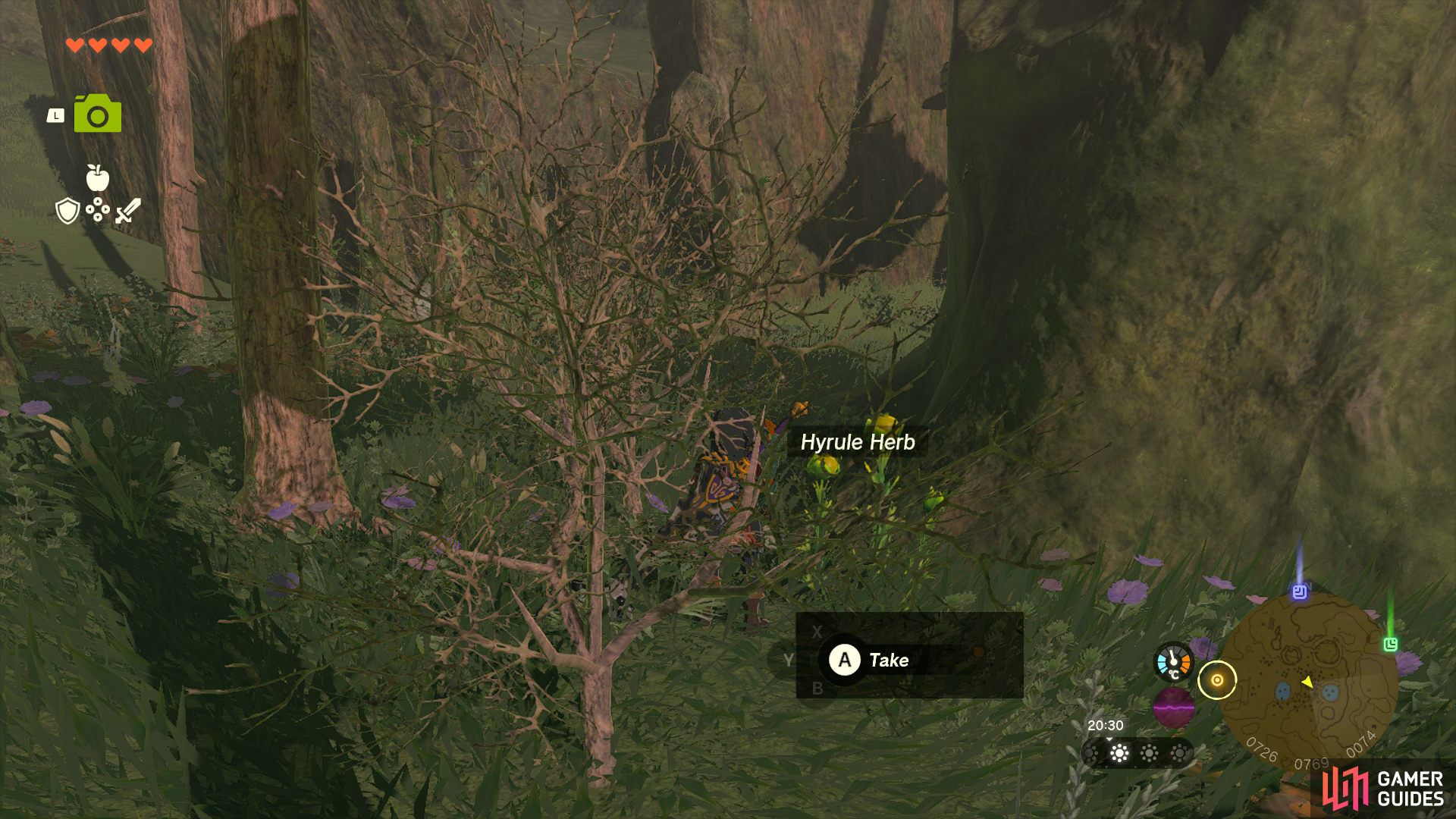 Hyrule Herb - The Legend of Zelda: Tears of the Kingdom Database ...