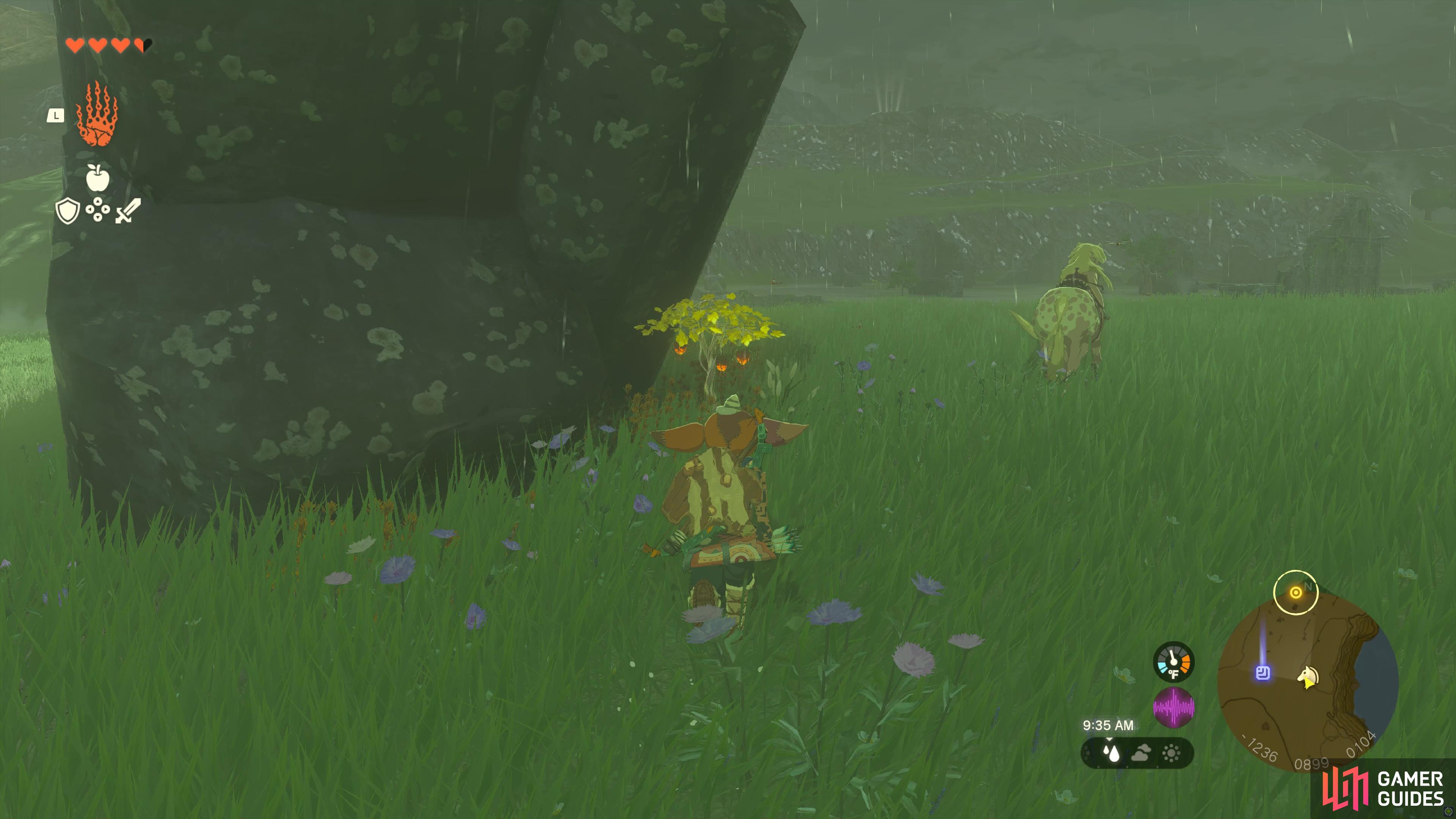 Fire Fruit - The Legend of Zelda: Tears of the Kingdom Database | Gamer ...