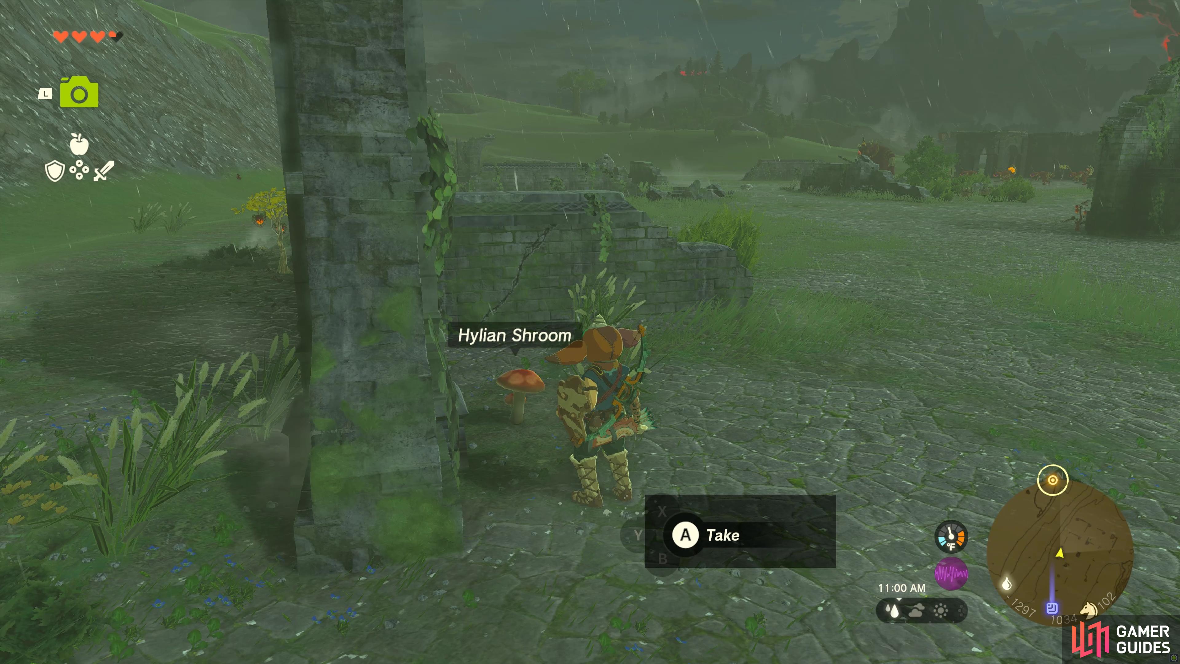 Hylian Shroom - The Legend of Zelda: Tears of the Kingdom Database ...