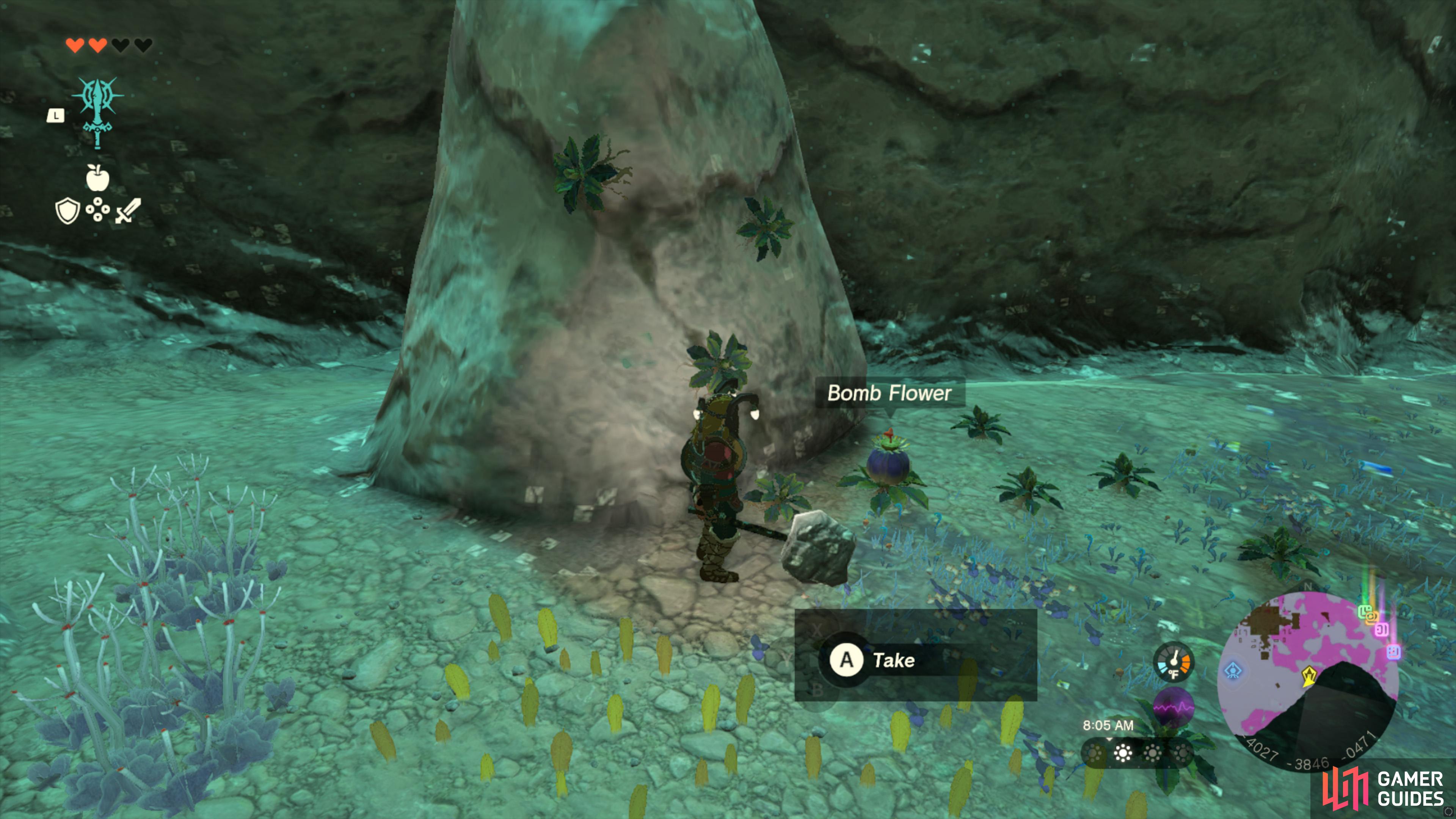 Bomb Flower - The Legend of Zelda: Tears of the Kingdom Database ...