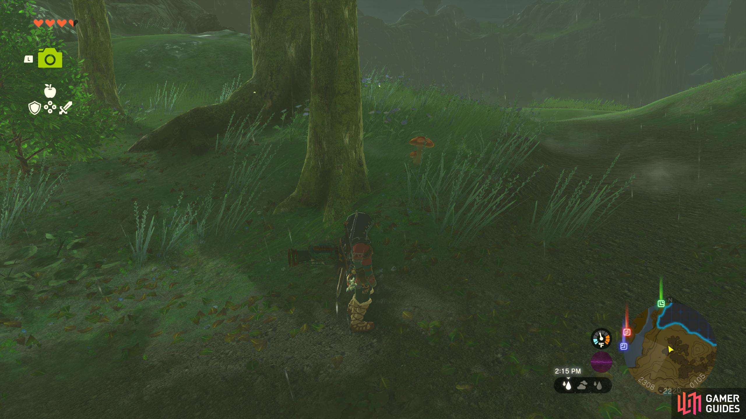 Hylian Shroom - The Legend of Zelda: Tears of the Kingdom Database ...