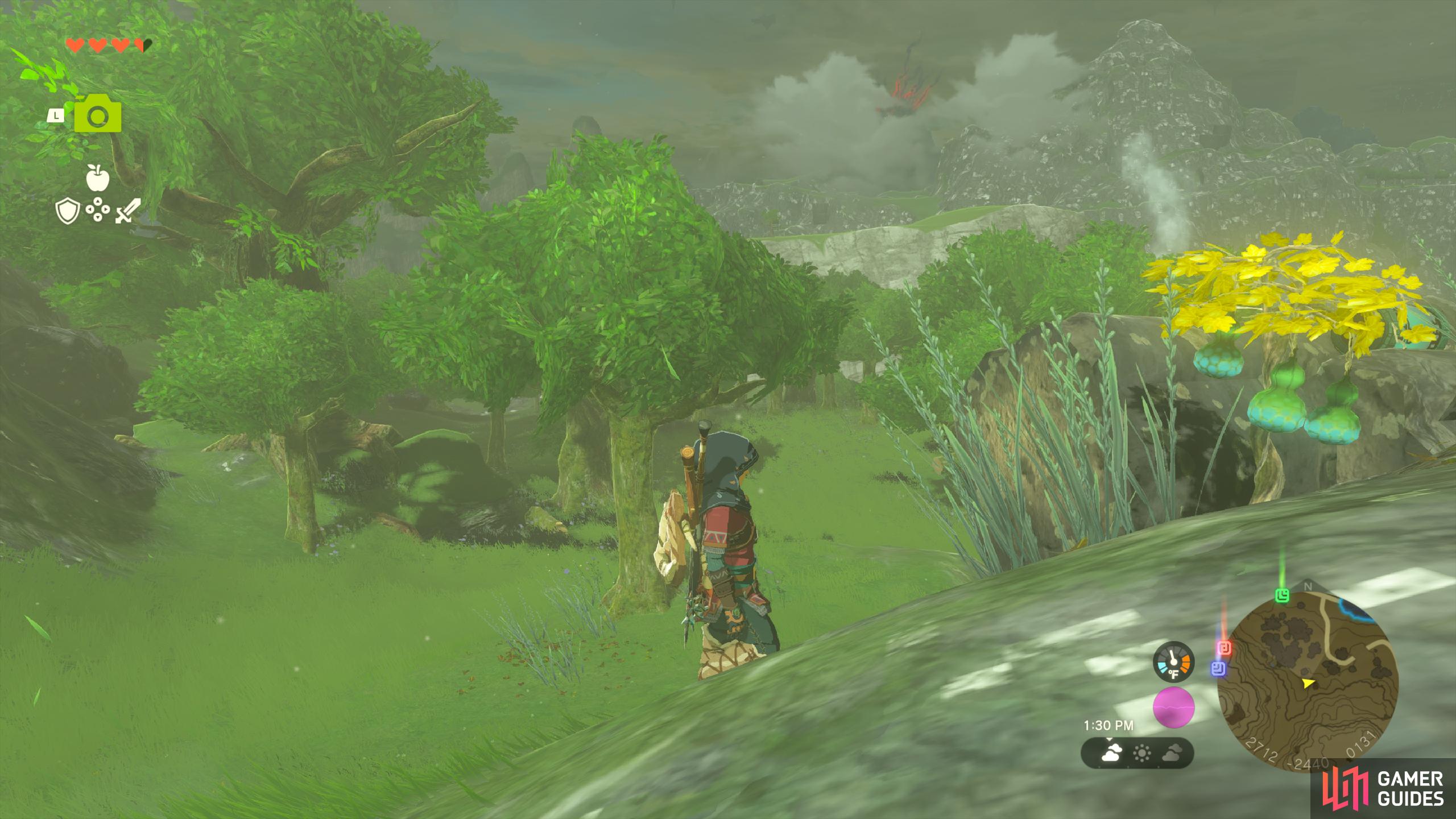 Splash Fruit - The Legend of Zelda: Tears of the Kingdom Database ...