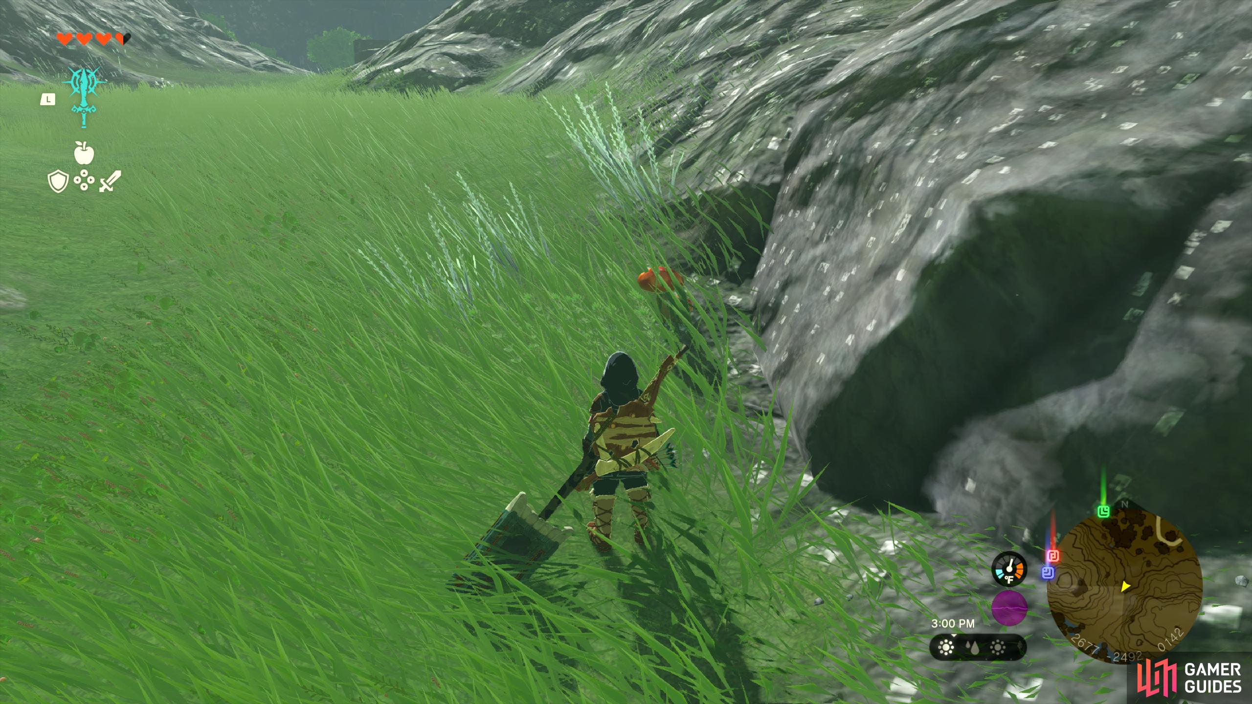 Hylian Shroom - The Legend of Zelda: Tears of the Kingdom Database ...