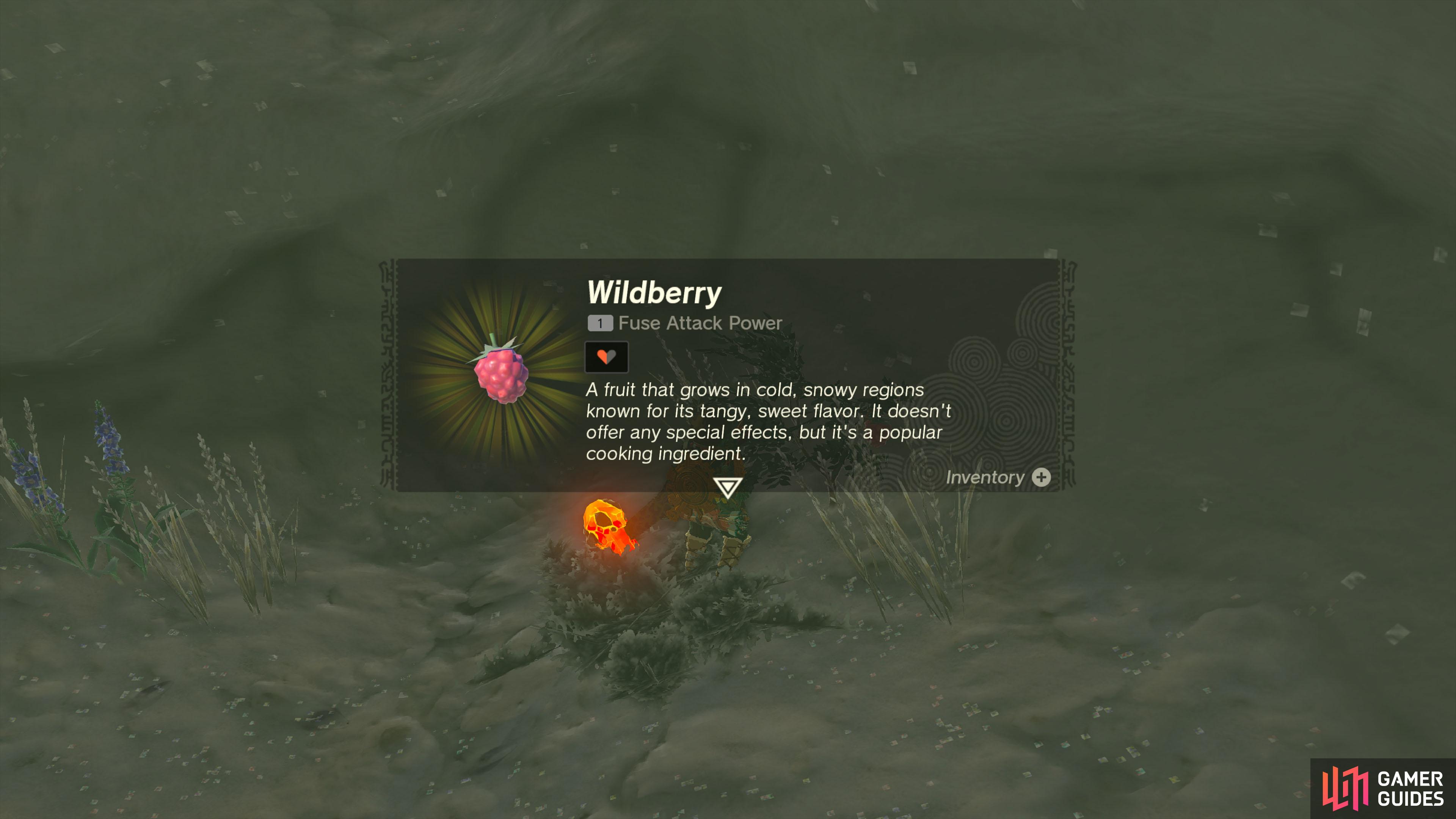 Wildberry - The Legend of Zelda: Tears of the Kingdom Database | Gamer ...