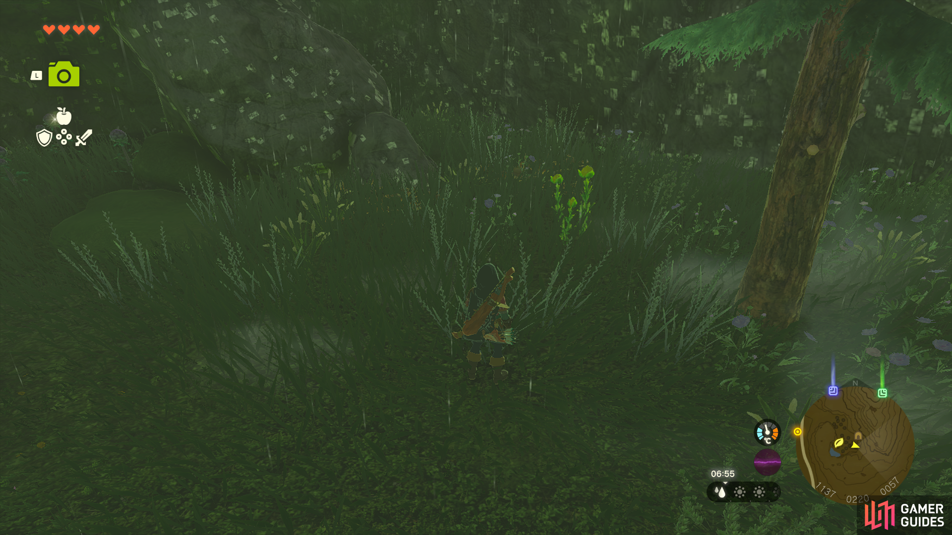 Hyrule Herb - The Legend of Zelda: Tears of the Kingdom Database ...