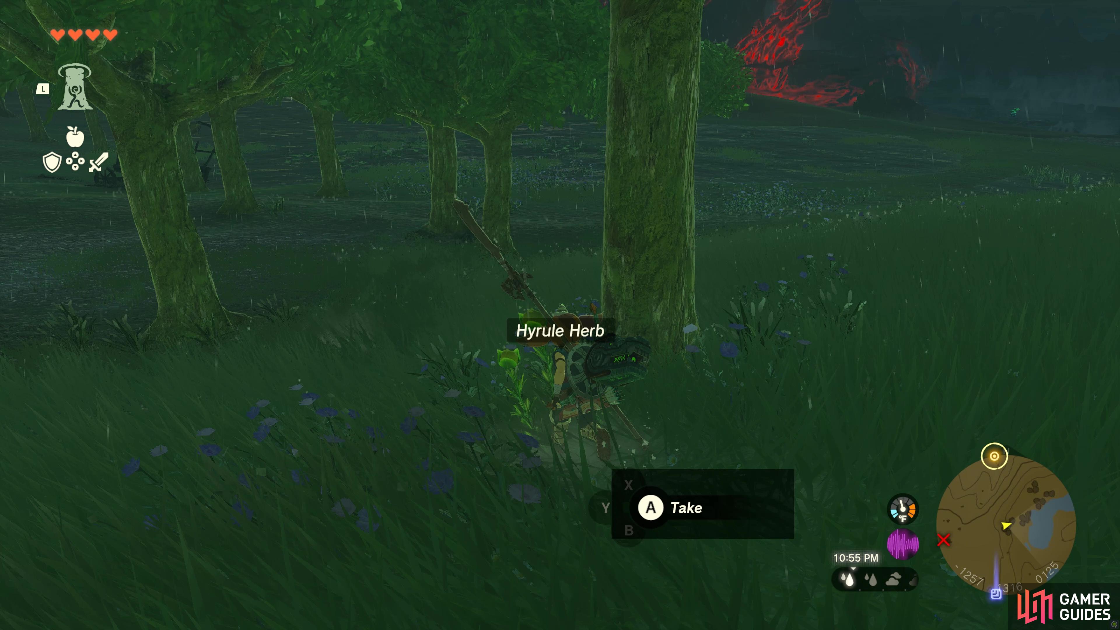 Hyrule Herb - The Legend of Zelda: Tears of the Kingdom Database ...