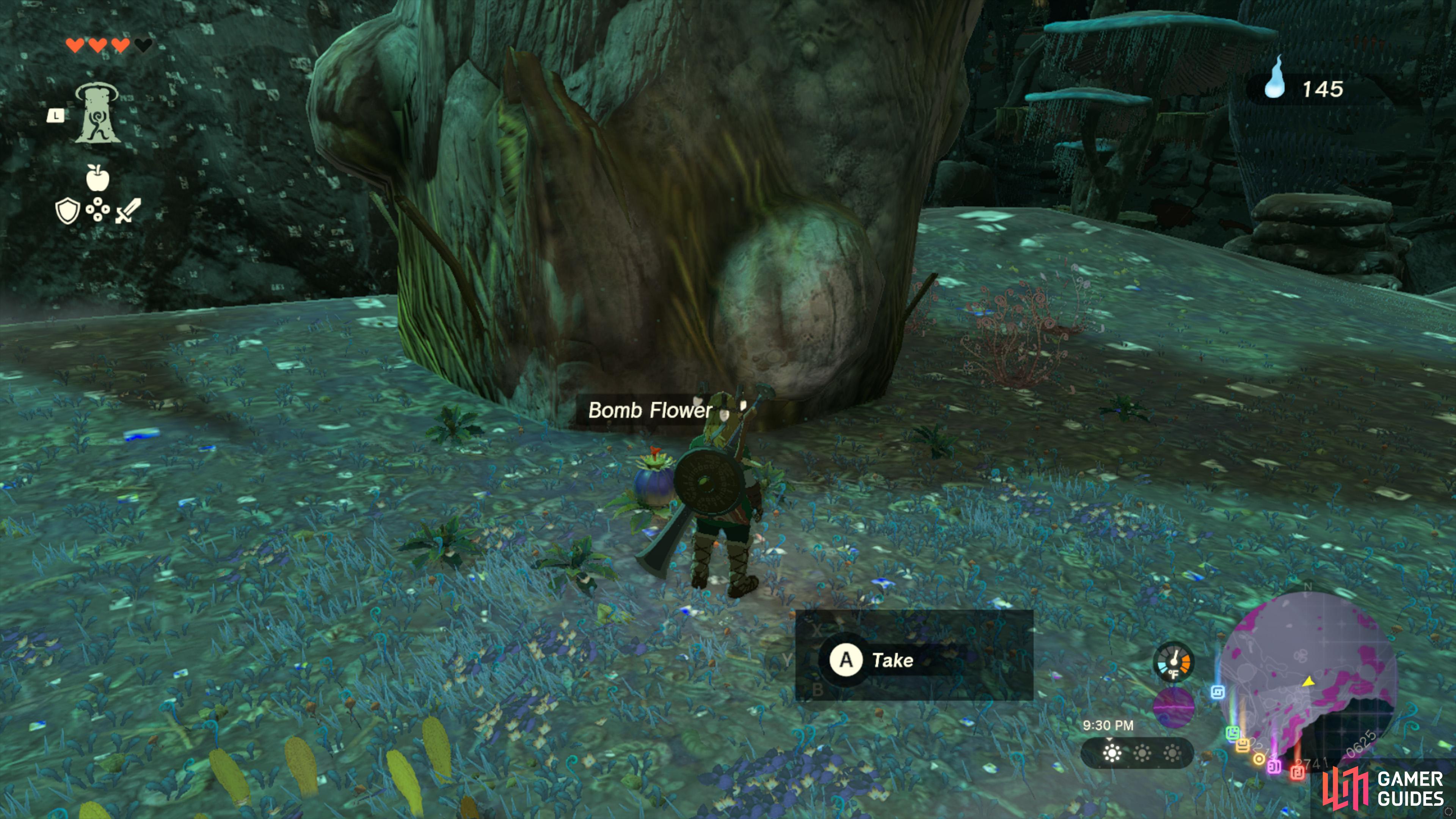 Bomb Flower - The Legend of Zelda: Tears of the Kingdom Database ...